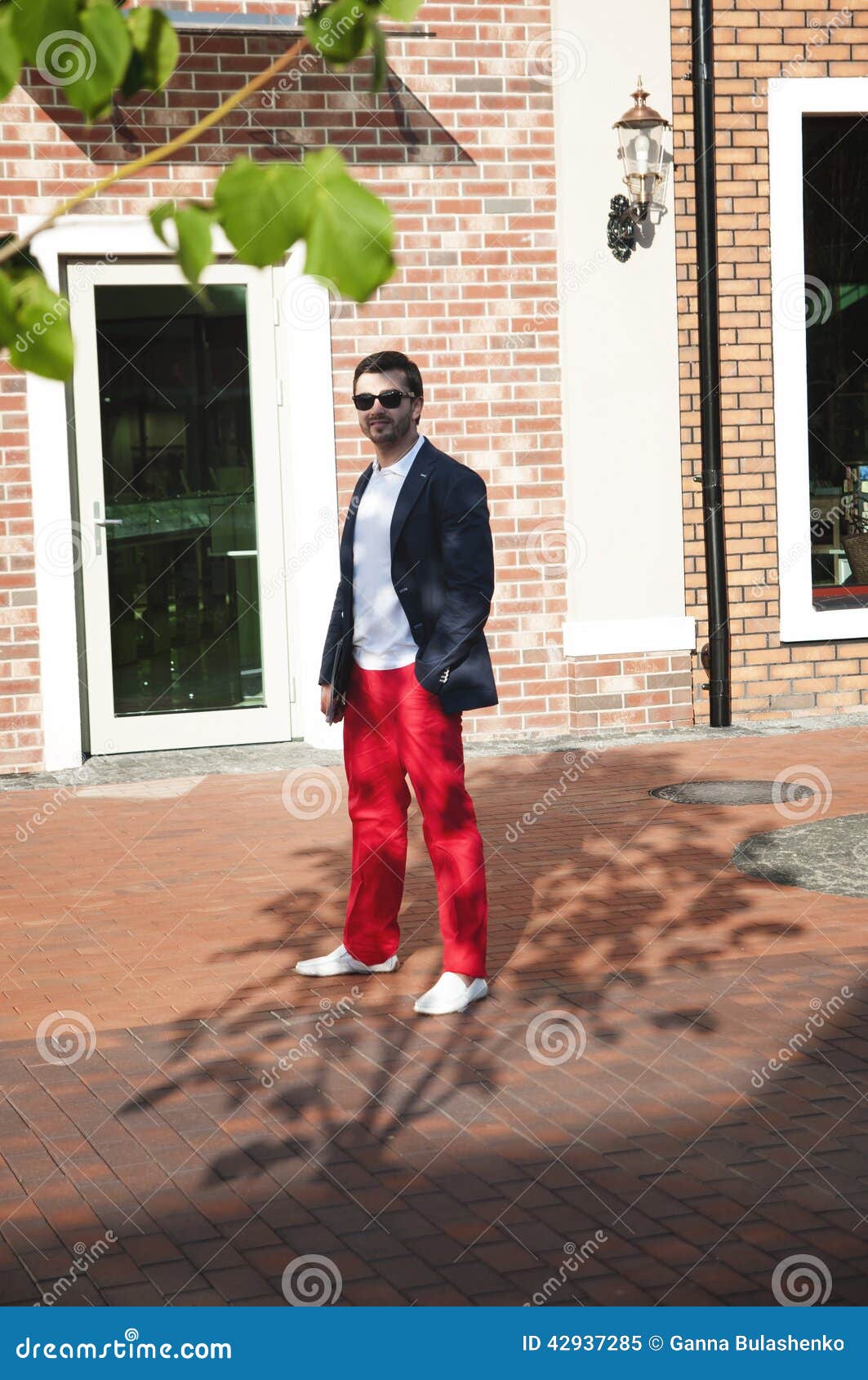 Handsome man on walk. stock image. Image of hipster, successful - 42937285
