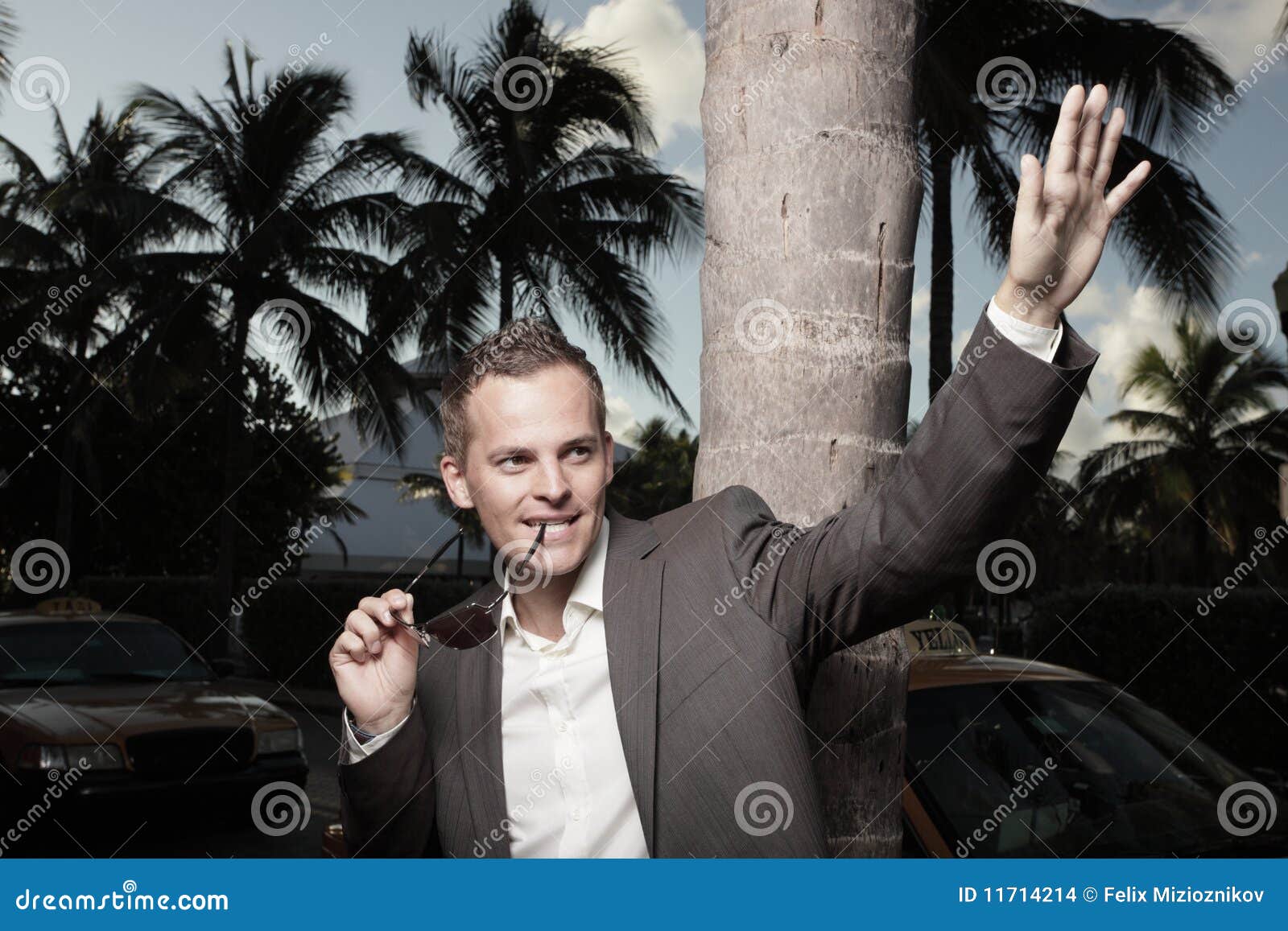 Handsome man waving stock photo. Image of happy, smile - 11714214