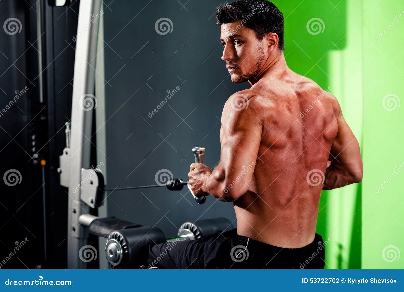 Handsome Man Work Out in Gym Stock Photo - Image of dumbbells, human ...