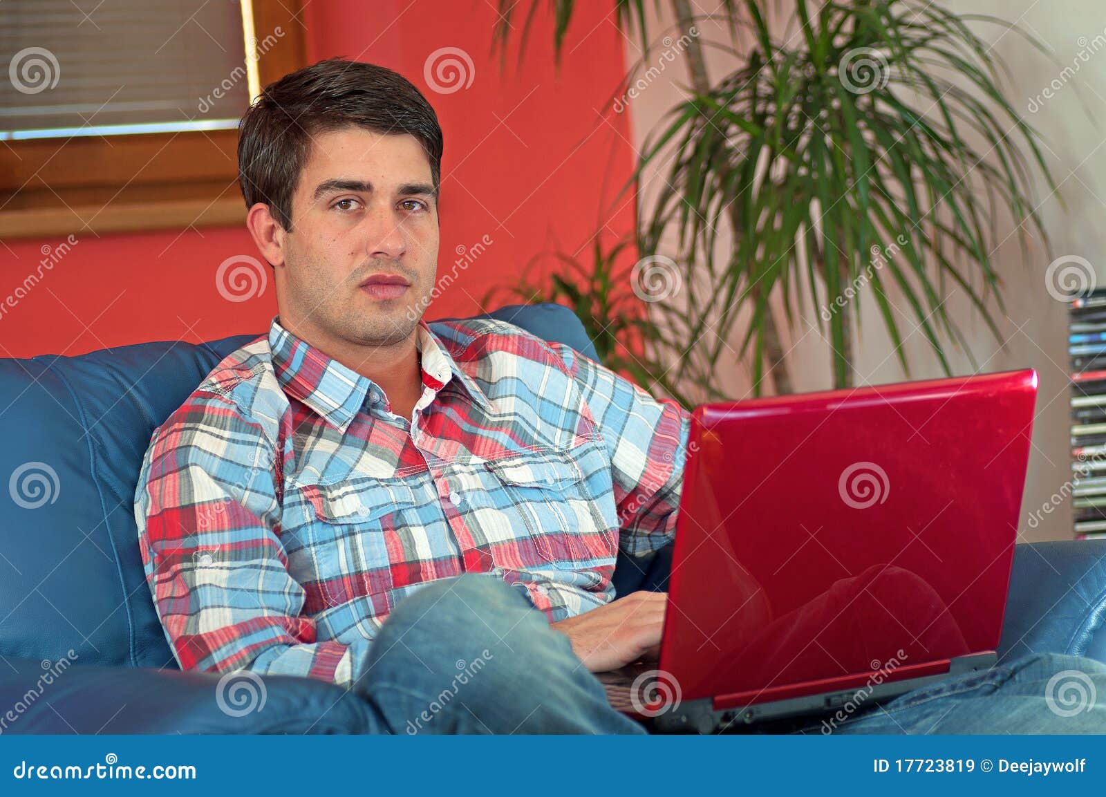 Handsome Man Working on Laptop in a Living Room Stock Image - Image of ...