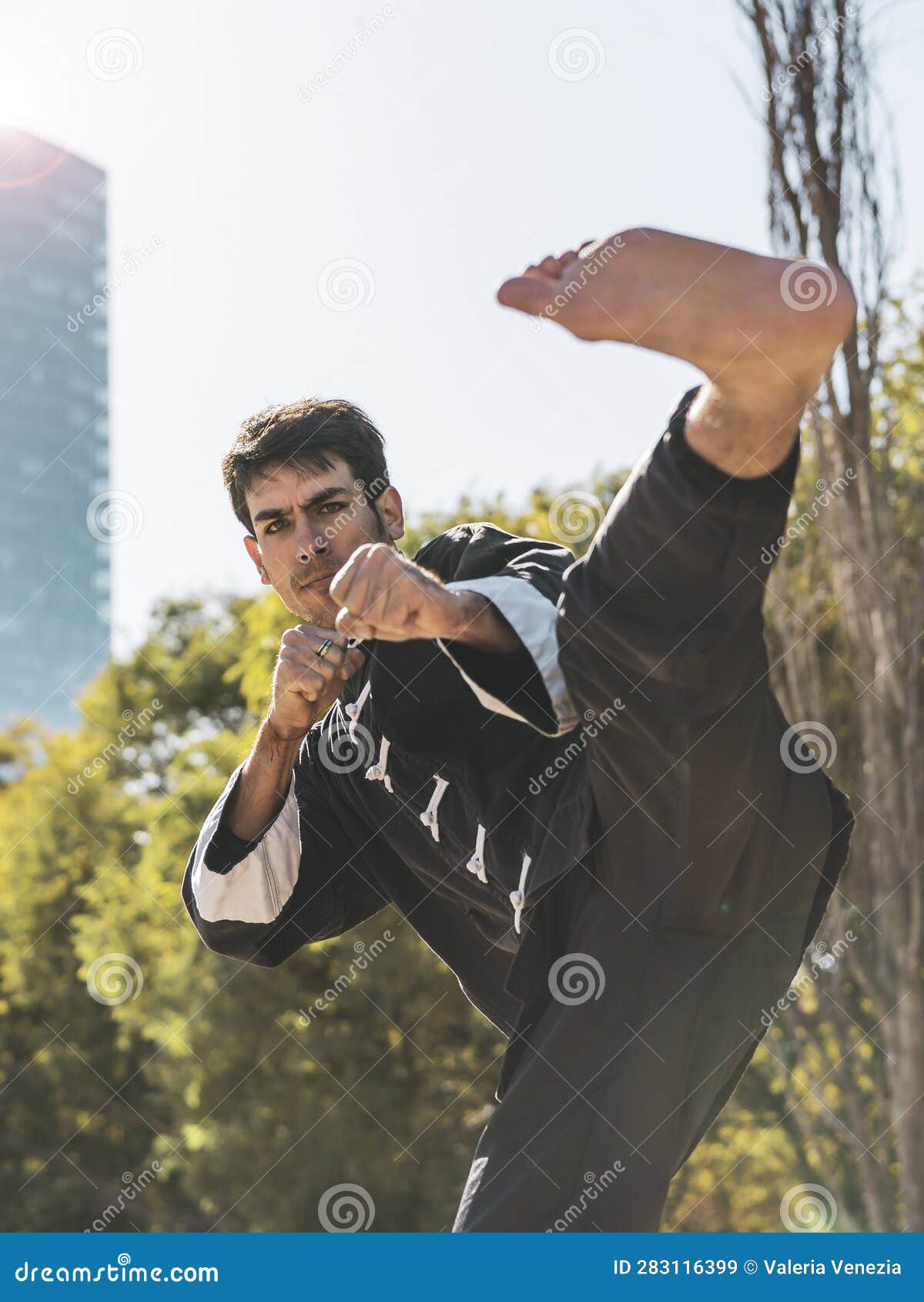 Handsome Martial Arts Fighter Practicing Kicks Outdoors while Looking ...