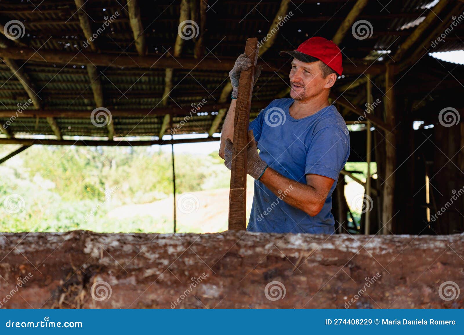 A Handsome Mature Man Working in a Sawmill Stock Image - Image of ...