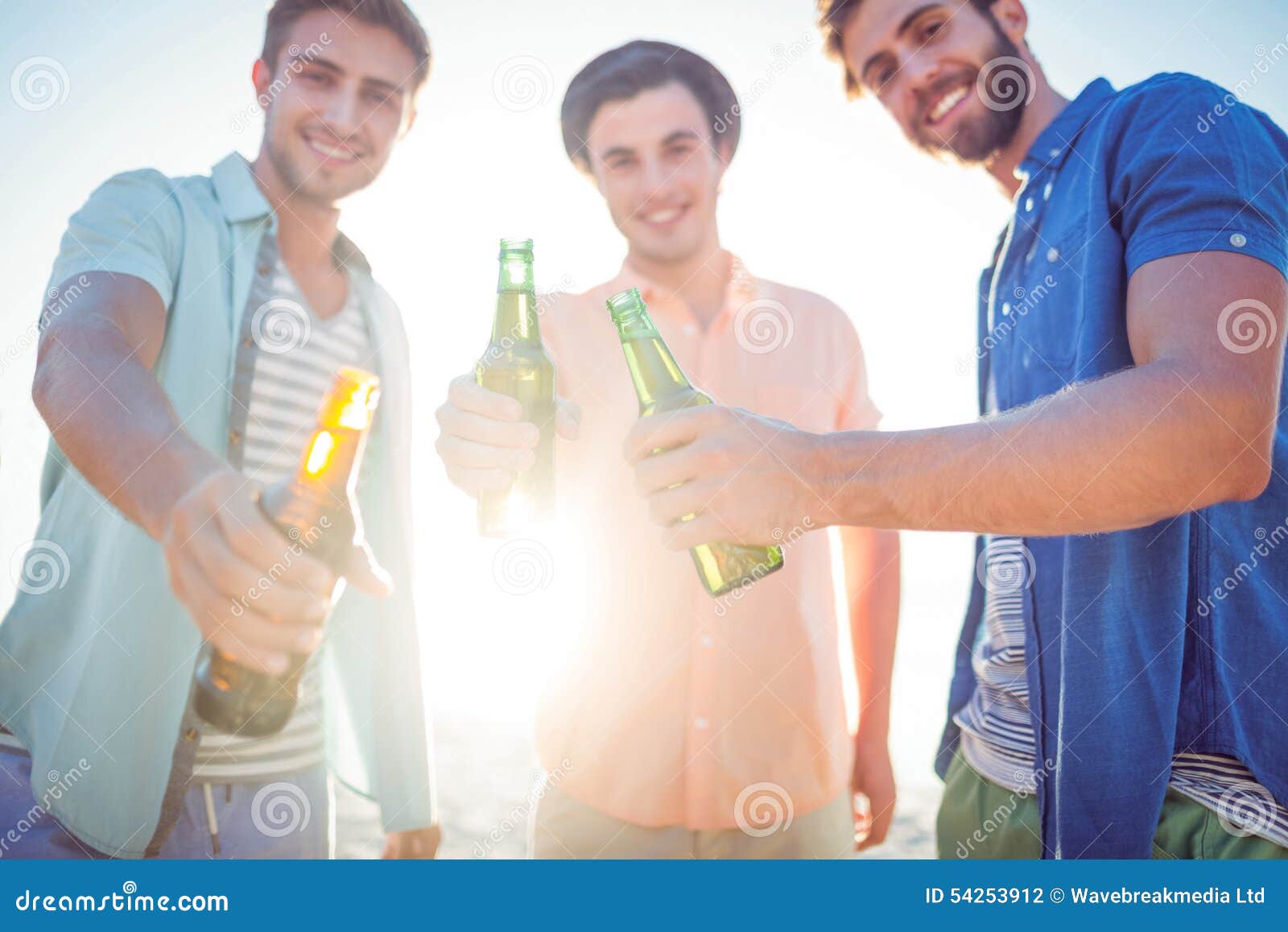 Handsome men toasting stock photo. Image of party, sunshine - 54253912
