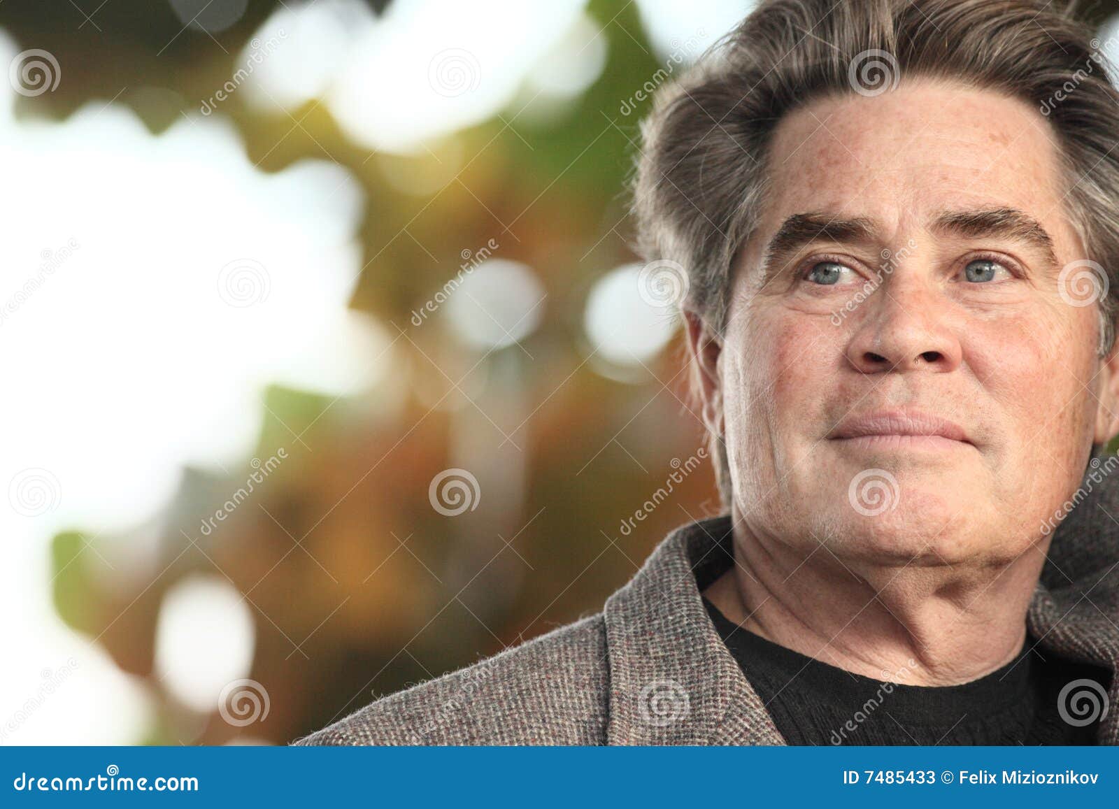 Handsome middle aged man stock image. Image of face, sideways - 7485433