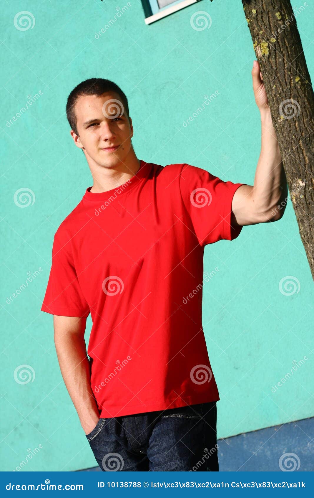 Handsome model stock photo. Image of green, elegant, black - 10138788