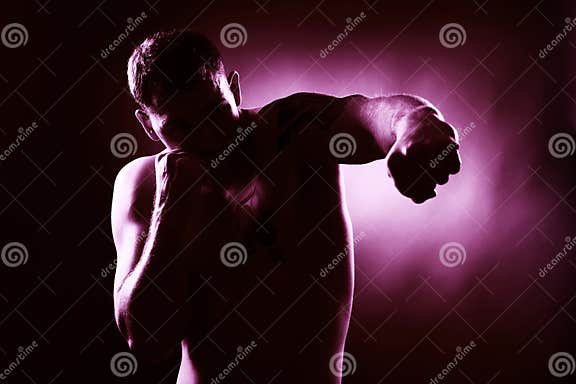 Boxer stock photo. Image of backgroound, fist, handsome - 29799940