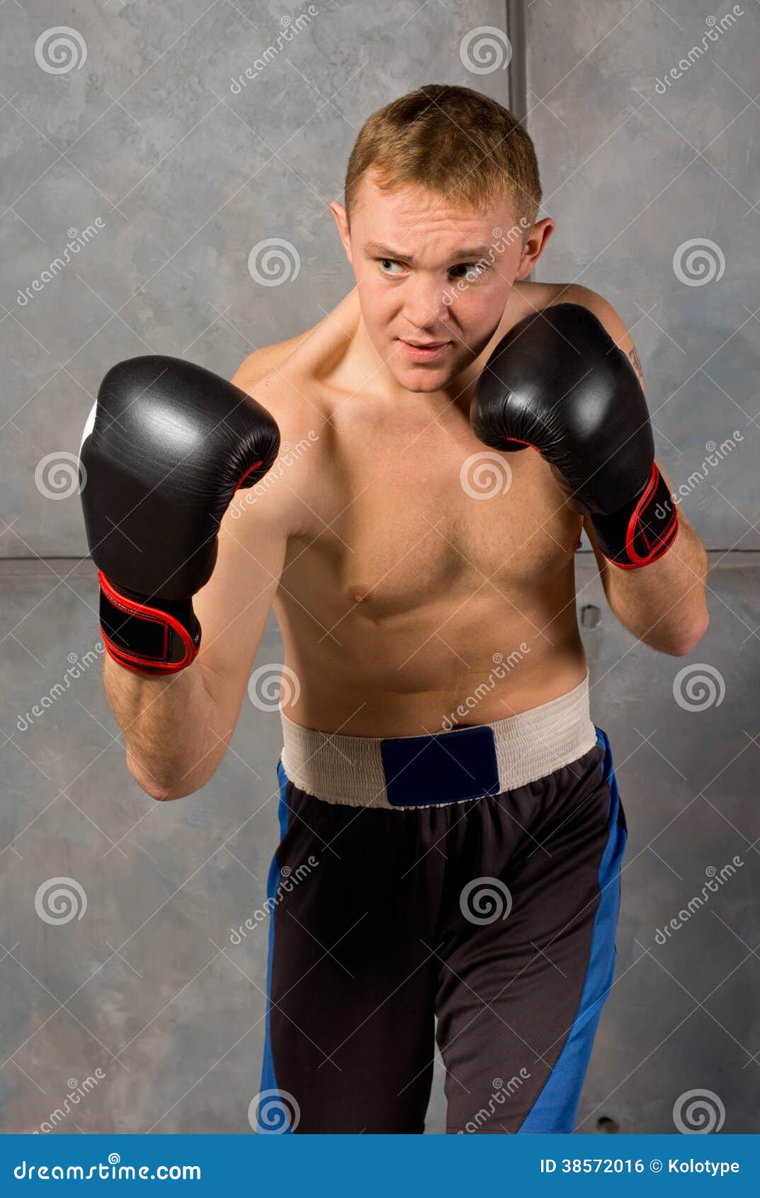 Handsome Muscular Young Boxer Stock Photo - Image of intent ...