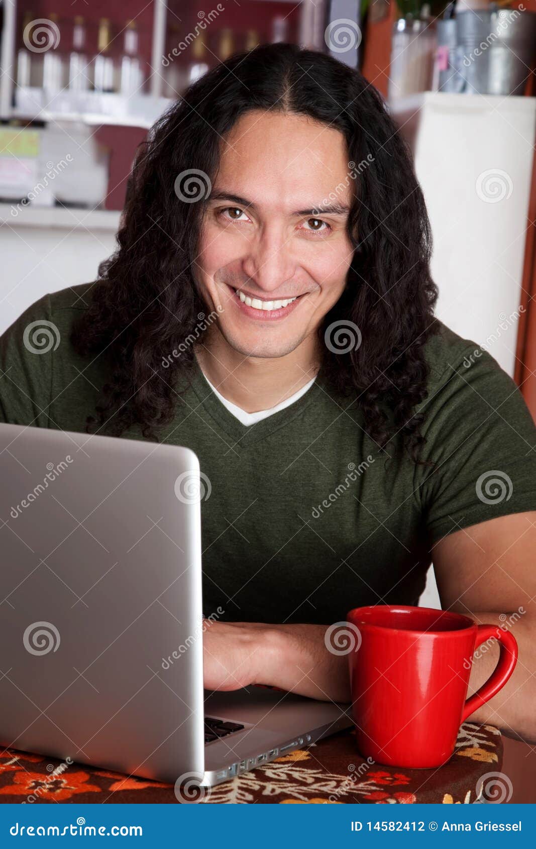 Handsome Native American Man Stock Photo - Image of long, handsome ...