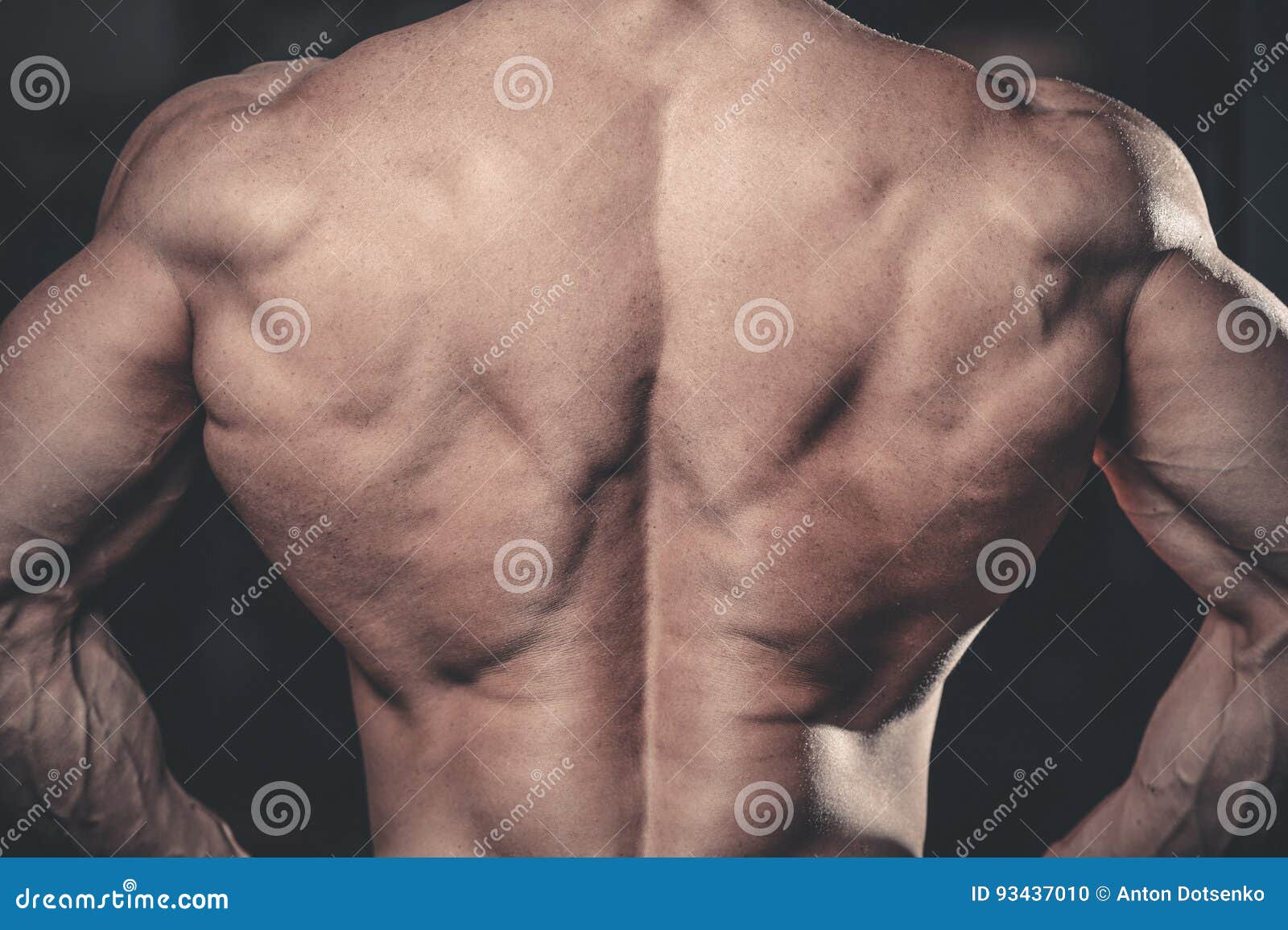 Handsome Power Athletic Man Diet Training Pumping Up Back Muscle Stock ...