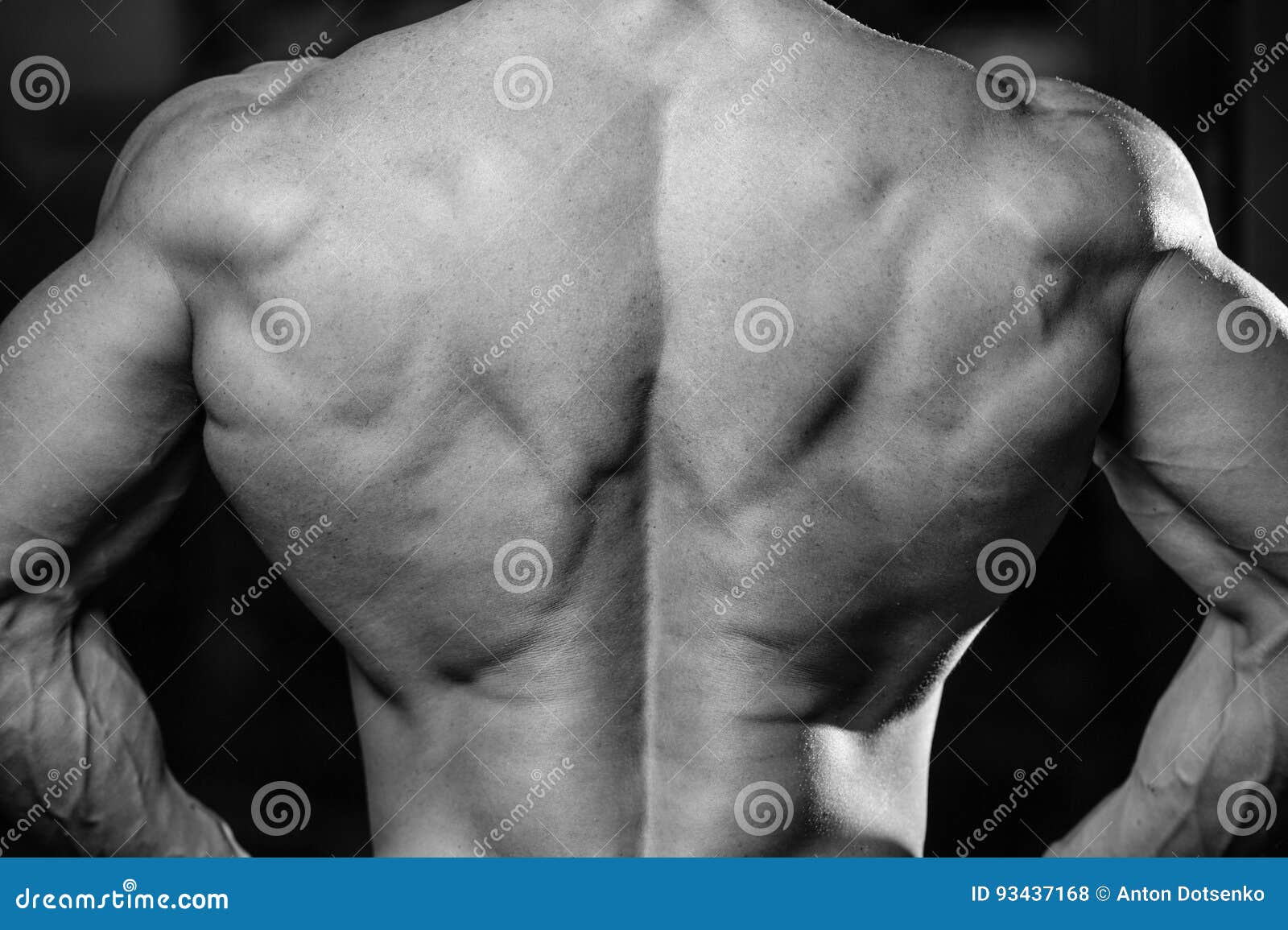 Handsome Power Athletic Man Diet Training Pumping Up Back Muscle Stock ...