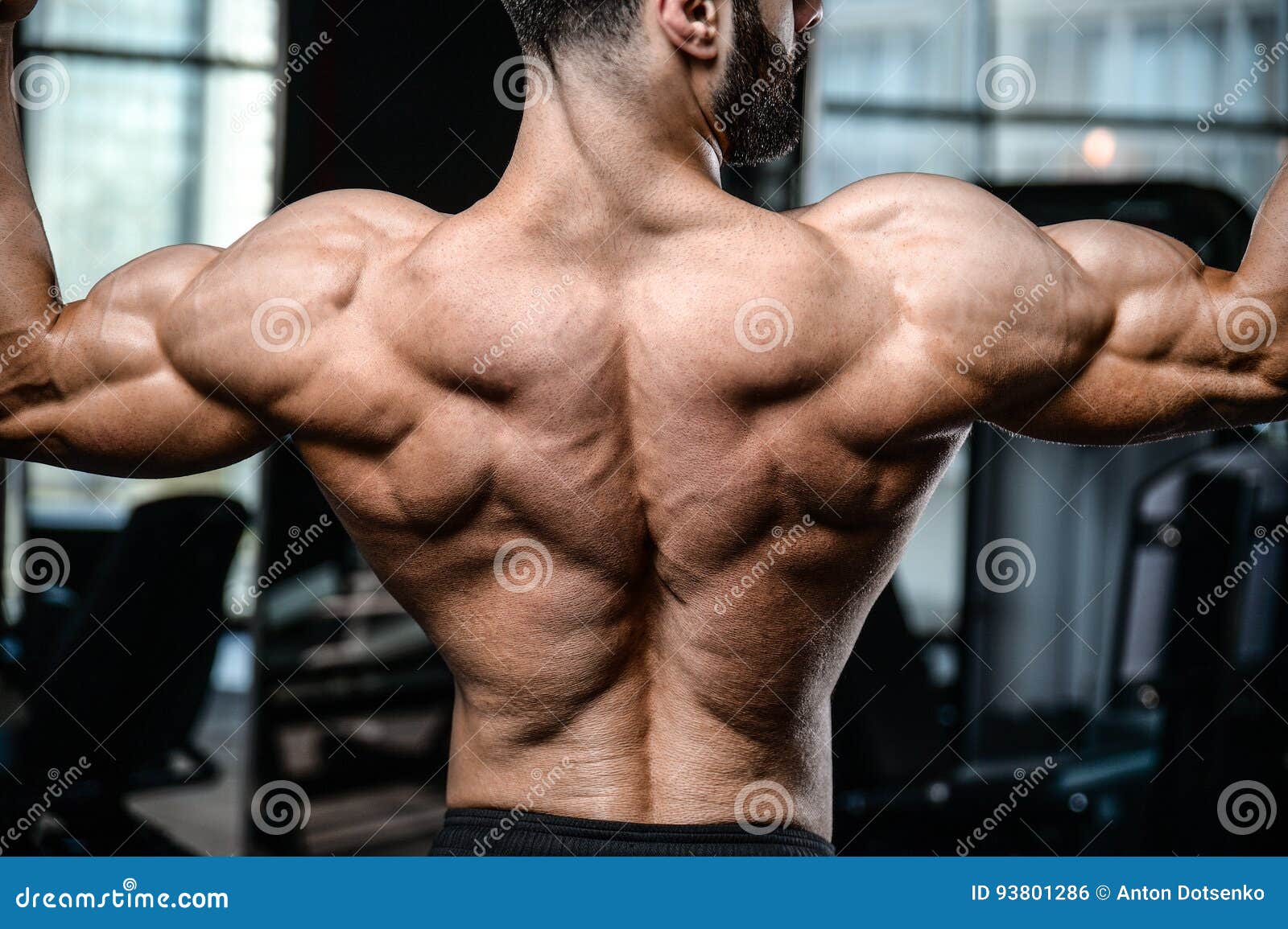 Handsome Power Athletic Man Diet Training Pumping Up Back Muscle Stock ...