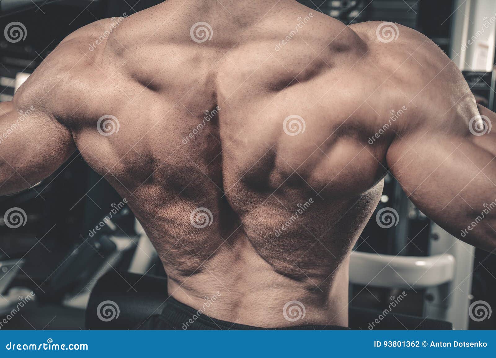 Handsome Power Athletic Man Diet Training Pumping Up Back Muscle Stock ...