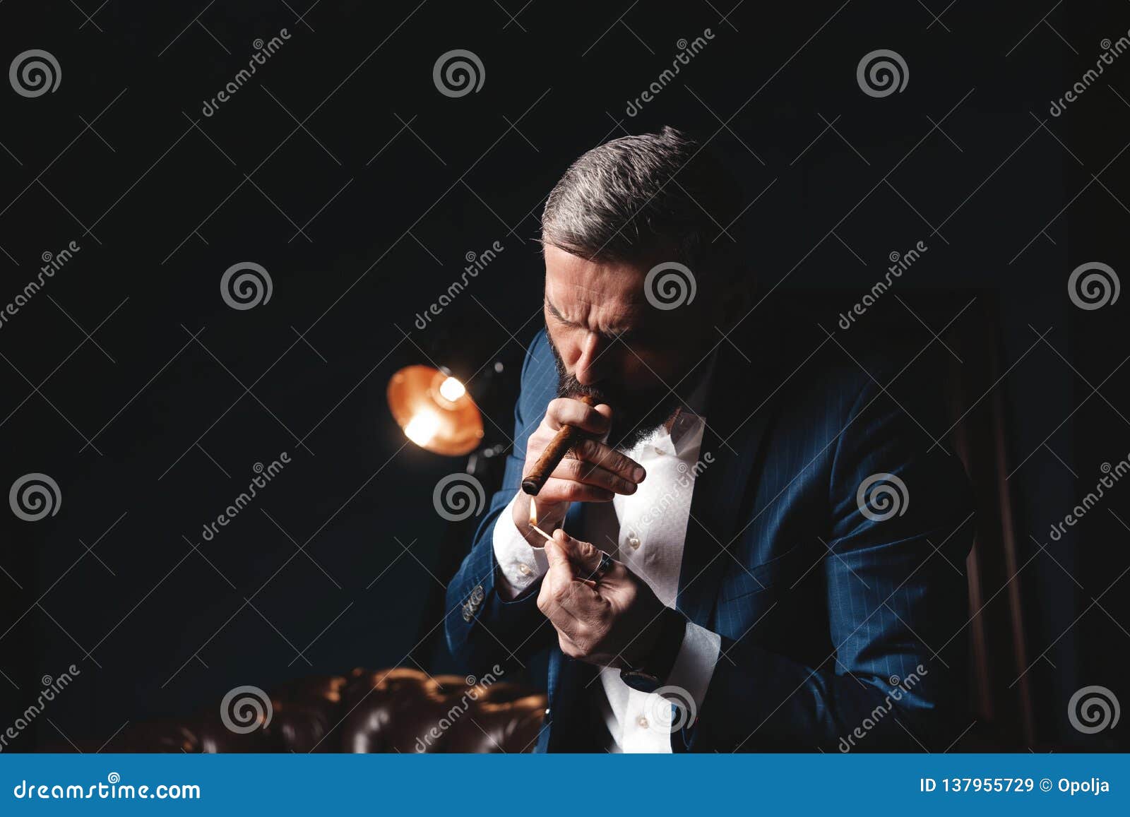 Handsome Rich Man is Relaxing on the Leather Sofa and Smoking Expensive ...