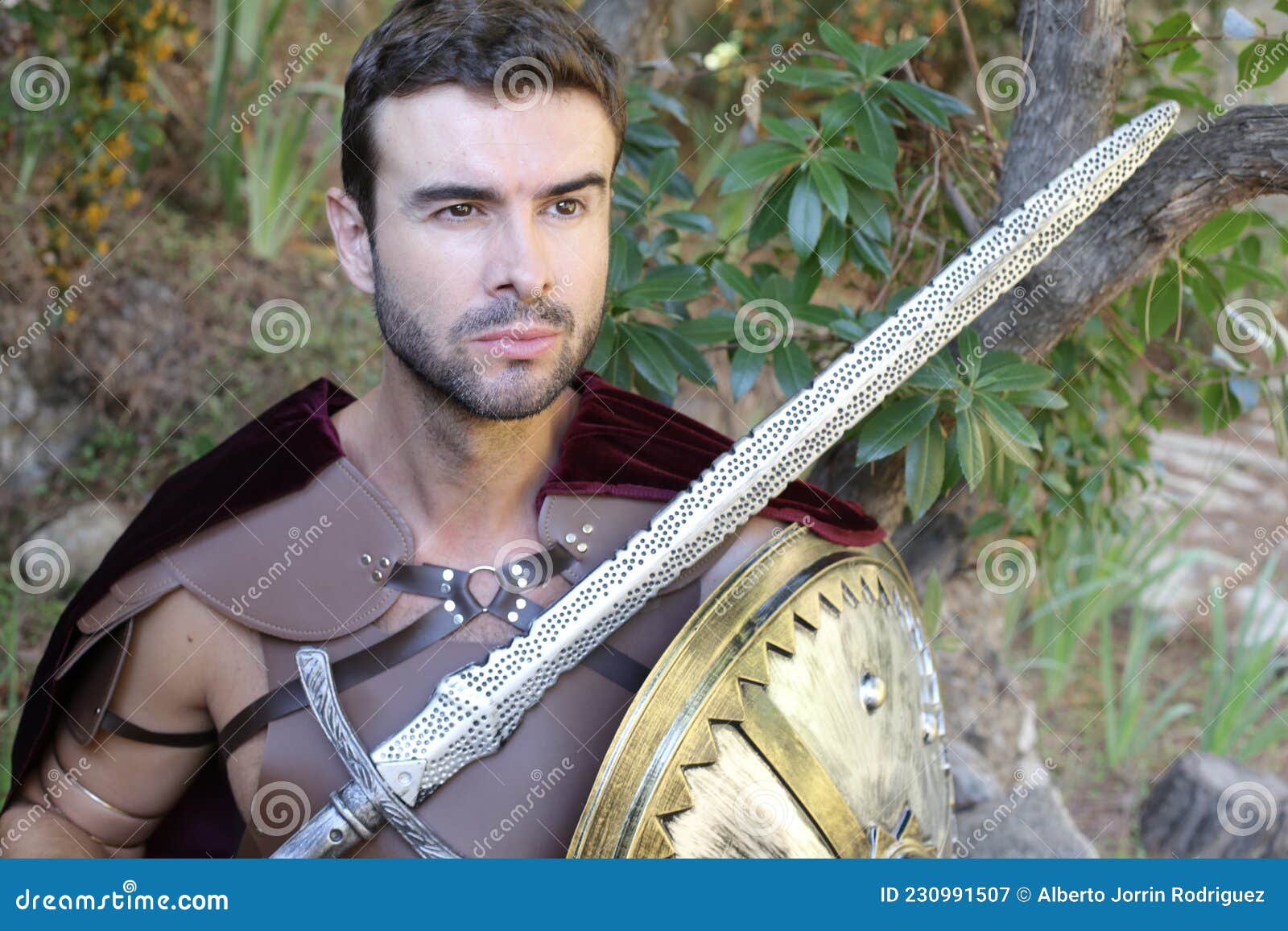 Handsome Roman Soldier Holding a Sword Stock Image - Image of fight ...