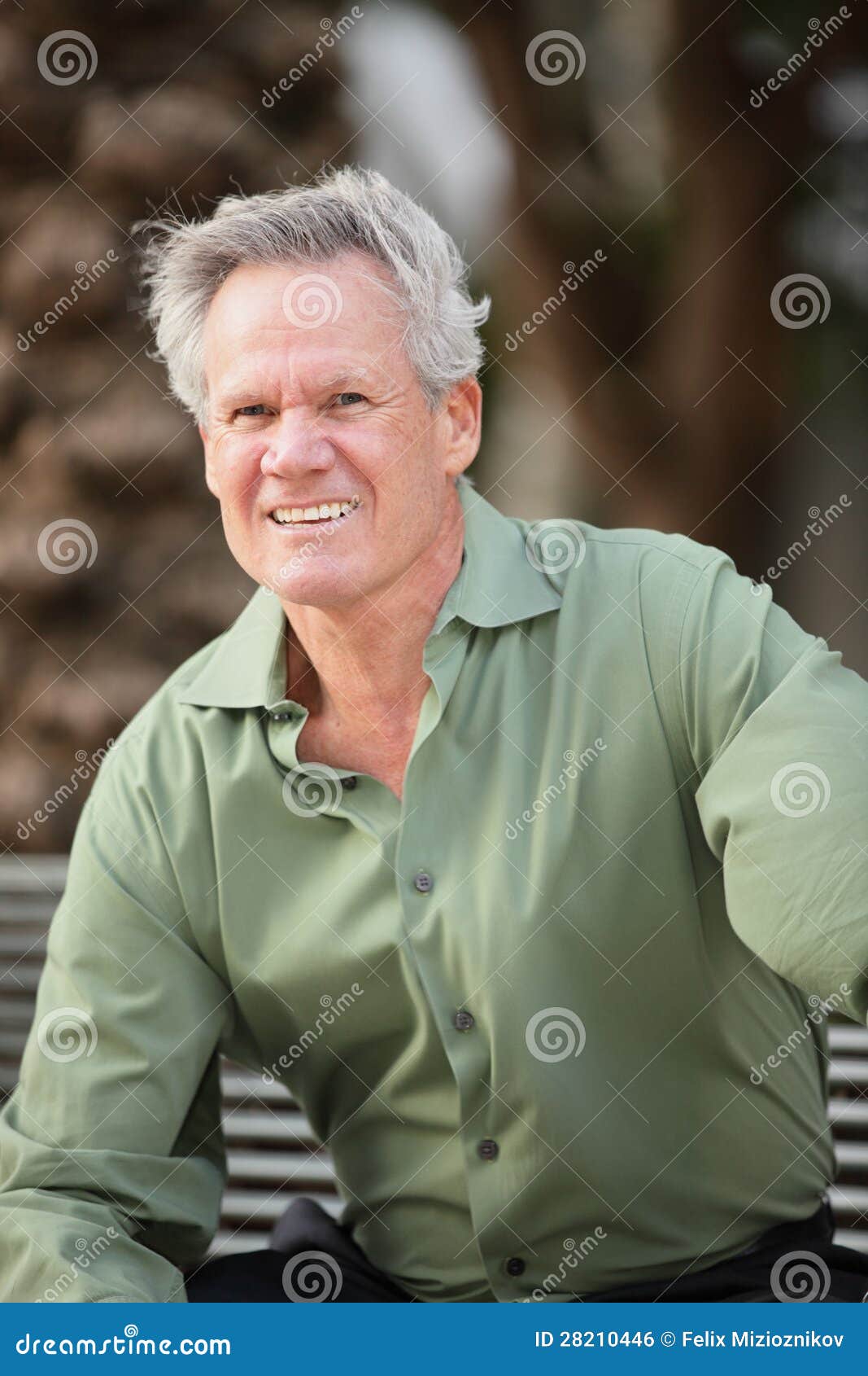 Handsome senior smiling stock photo. Image of male, daytime - 28210446