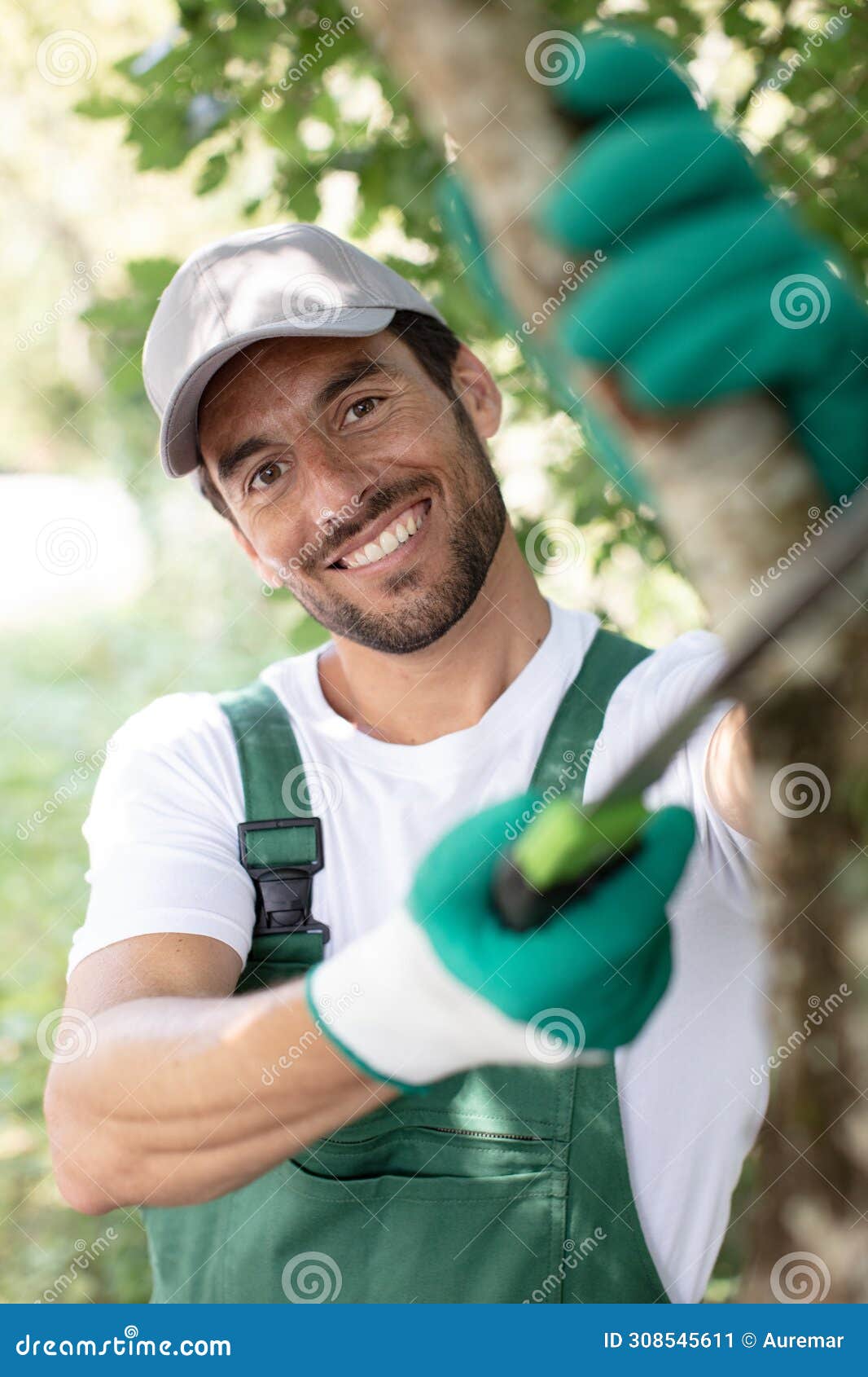 Handsome and Smiling Gardener Cutting Tree Stock Image - Image of ...