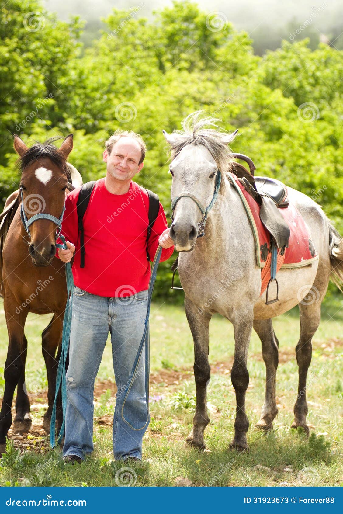 Handsome Smiling Man with Horses Stock Image - Image of nature ...