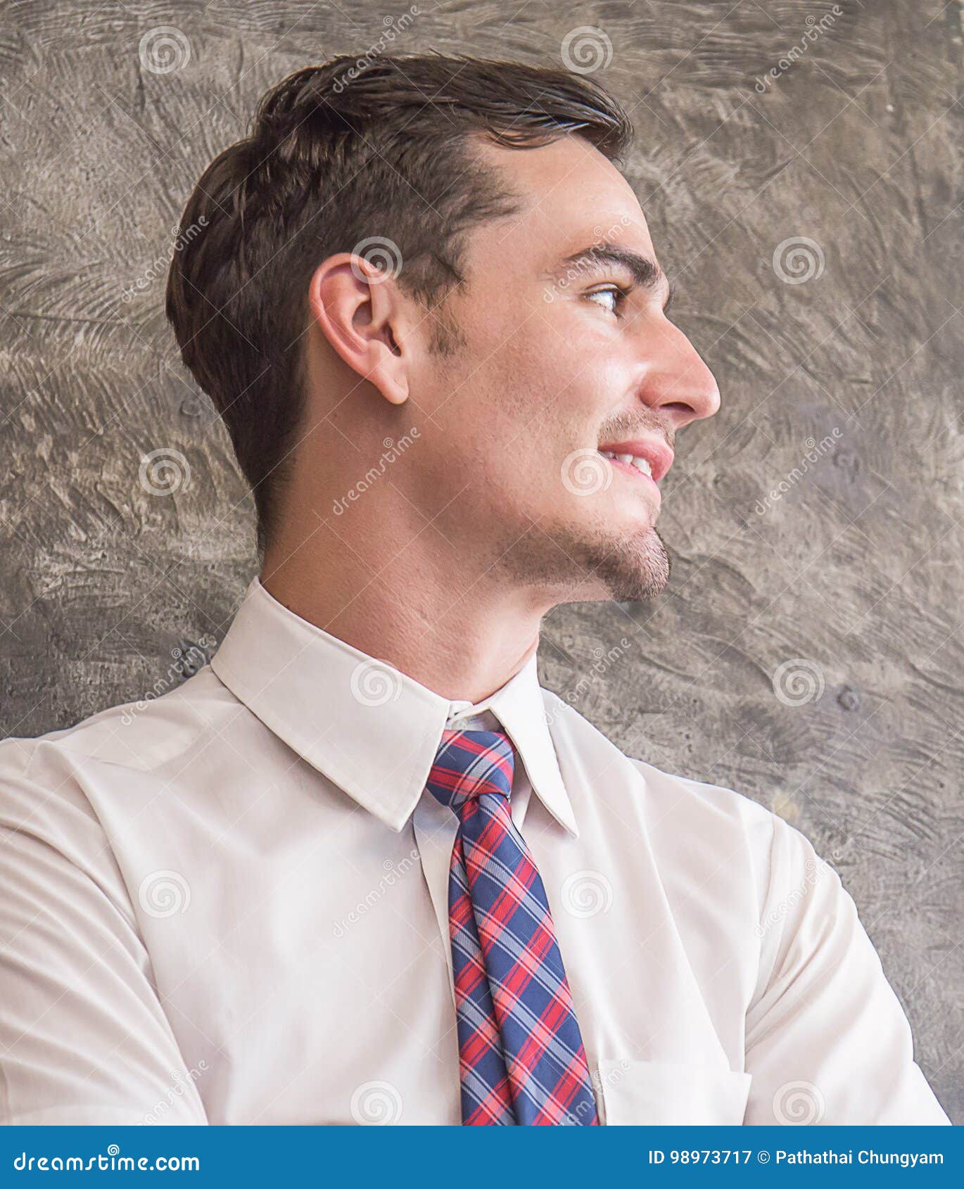 Portrait of a Smiling Business Man Stock Image - Image of portrait ...