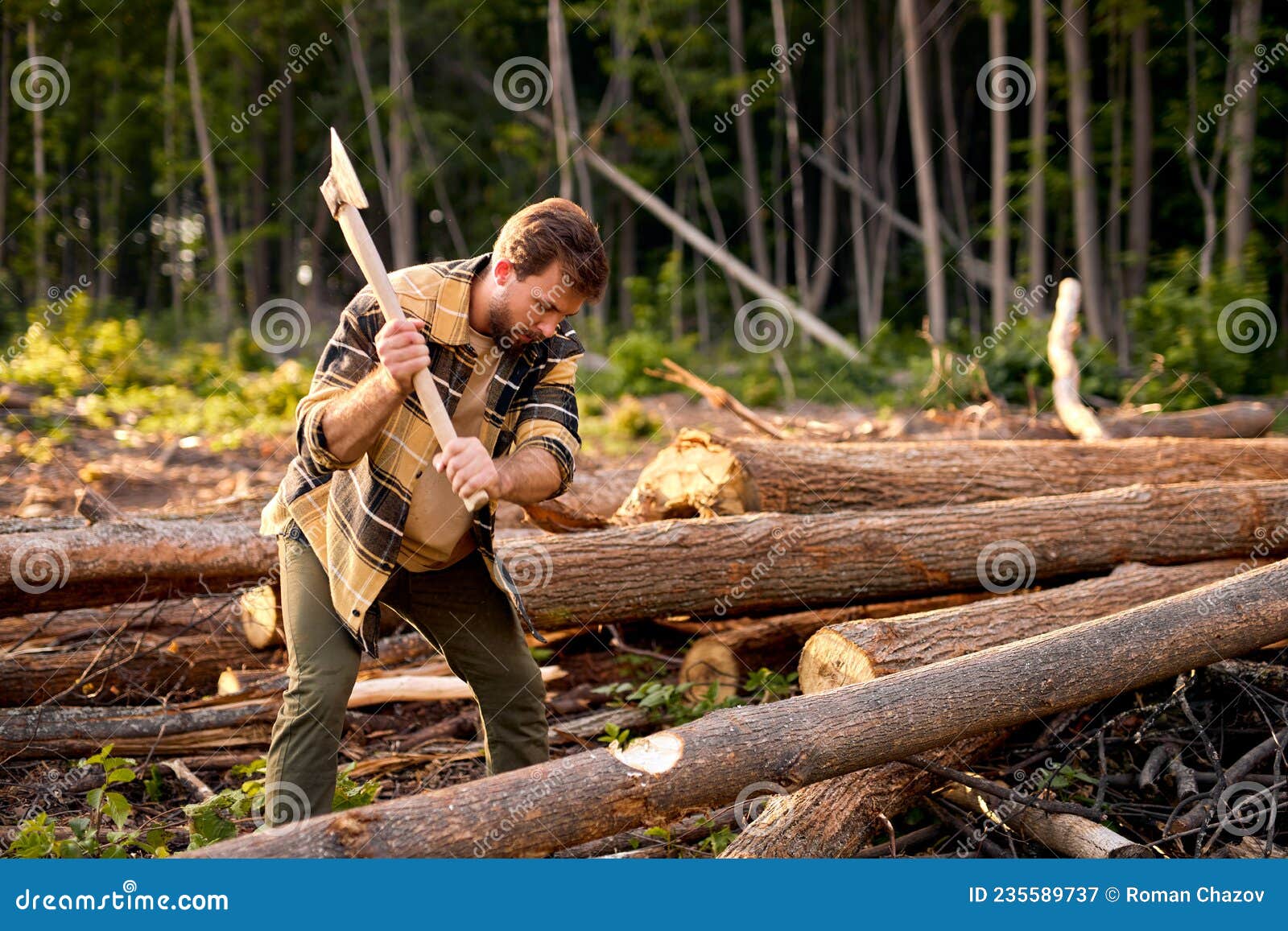 Handsome Strong Lumberjack at Work in Forest, Cutting Trees Using an Ax ...