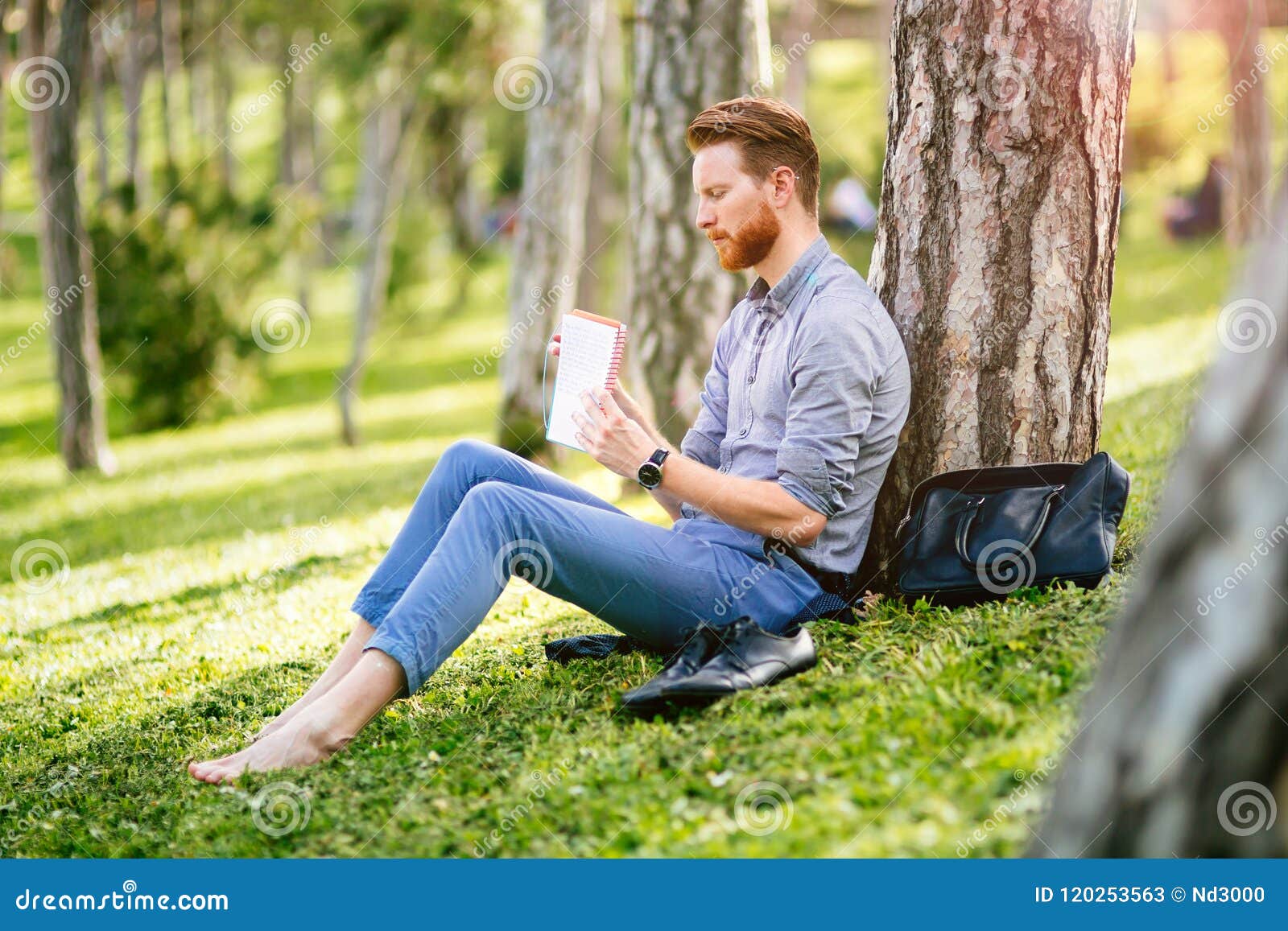 Handsome Student Reading in Nature Stock Image - Image of nature ...