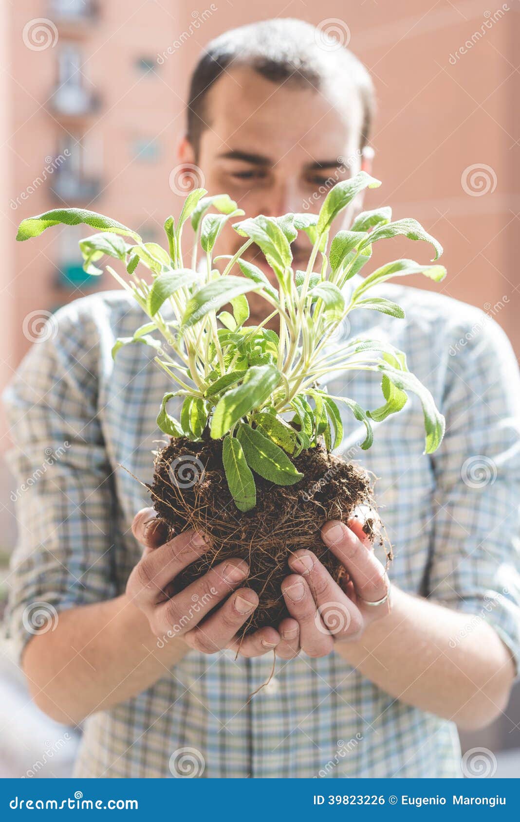 Handsome Stylish Man Gardening Stock Photo - Image of kneeling ...