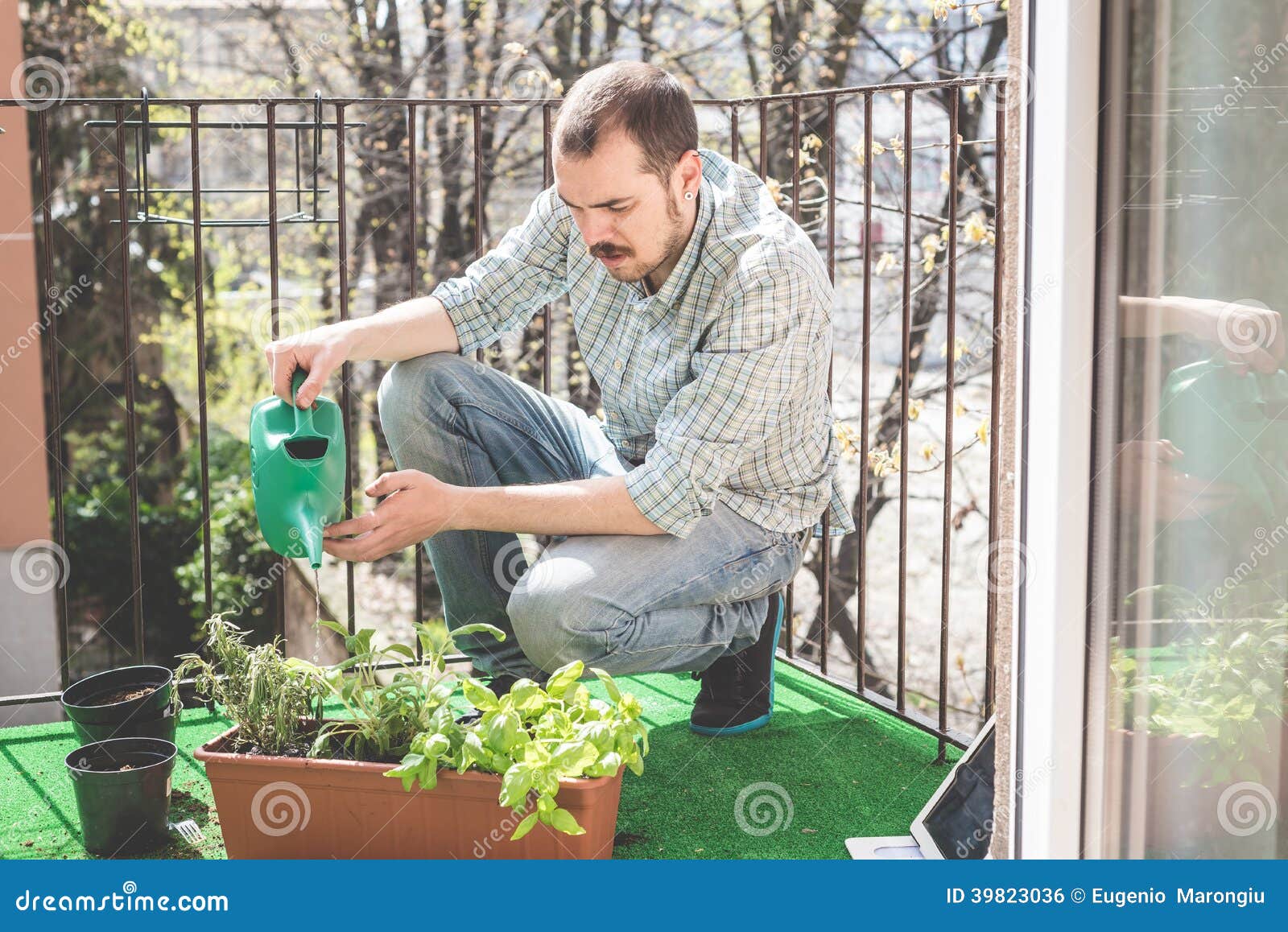 Handsome Stylish Man Gardening and Watering Stock Photo - Image of ...
