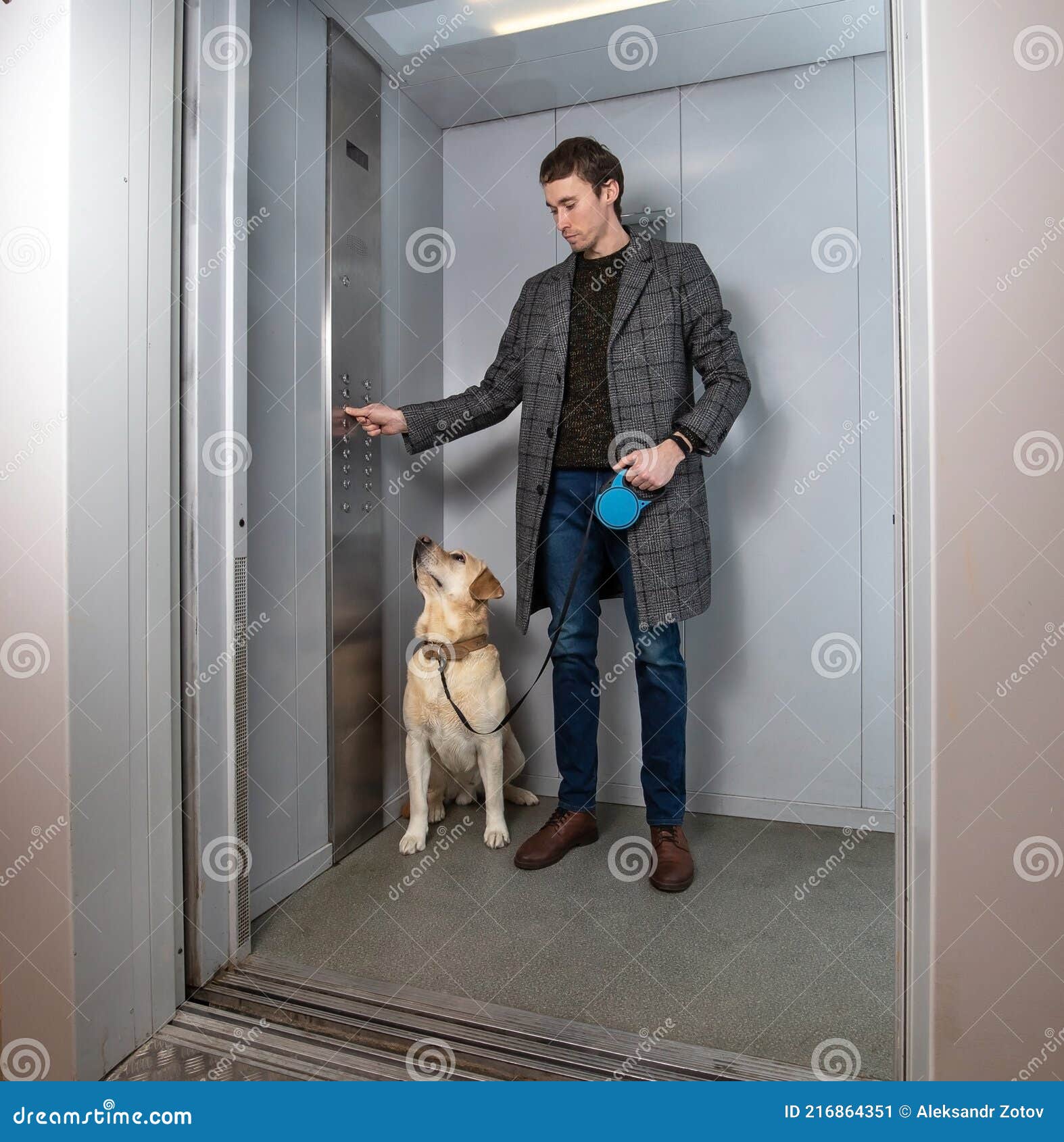 Handsome Stylish Man Standing with Labrador Dog in Elevator Stock Image ...