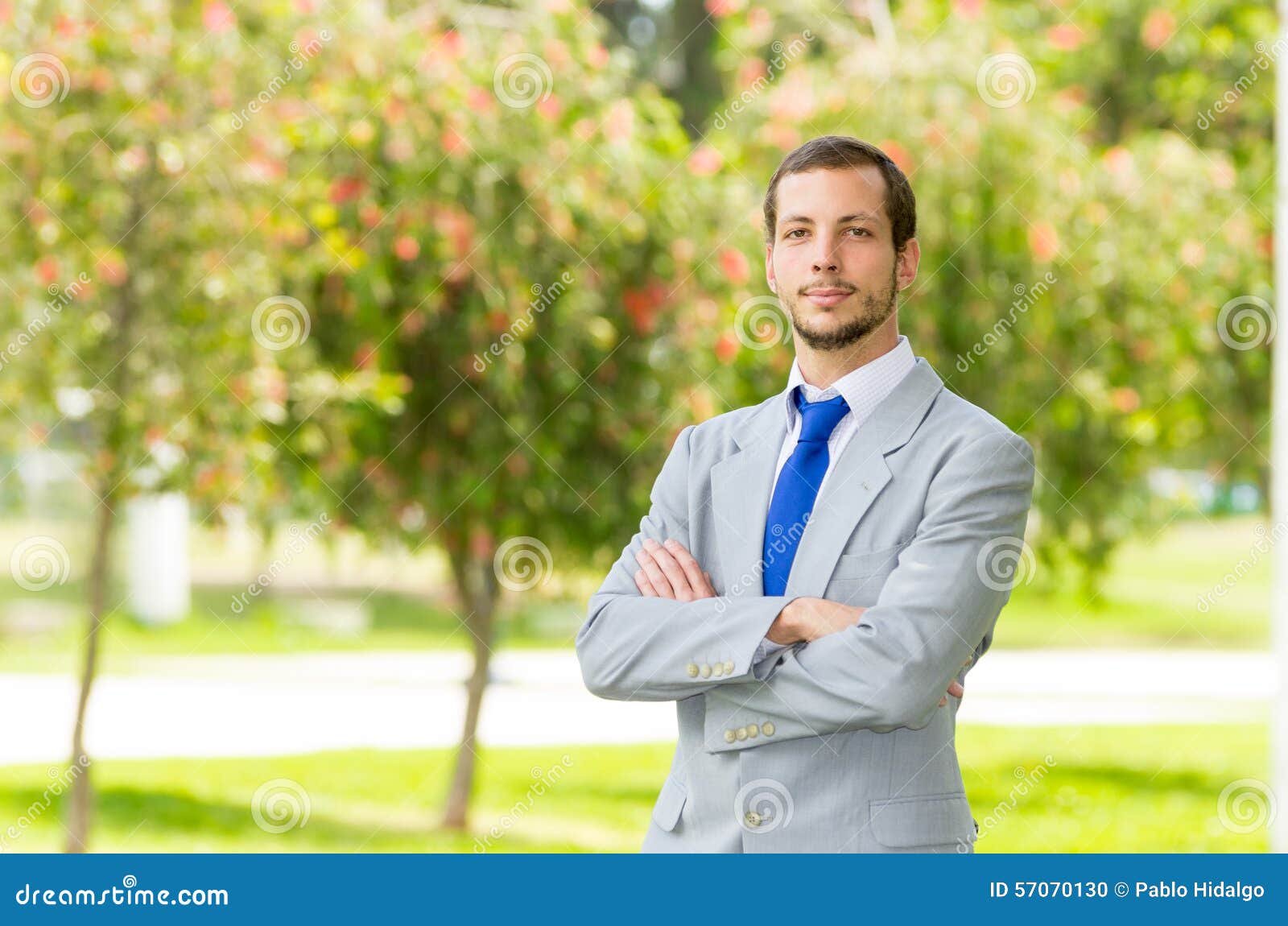 Handsome Successful Businessman Professional in Stock Photo - Image of ...