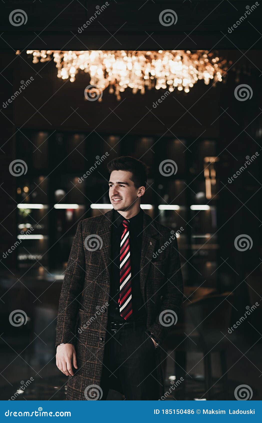 Handsome Successful Man in a Coat Stock Photo - Image of fashionable ...