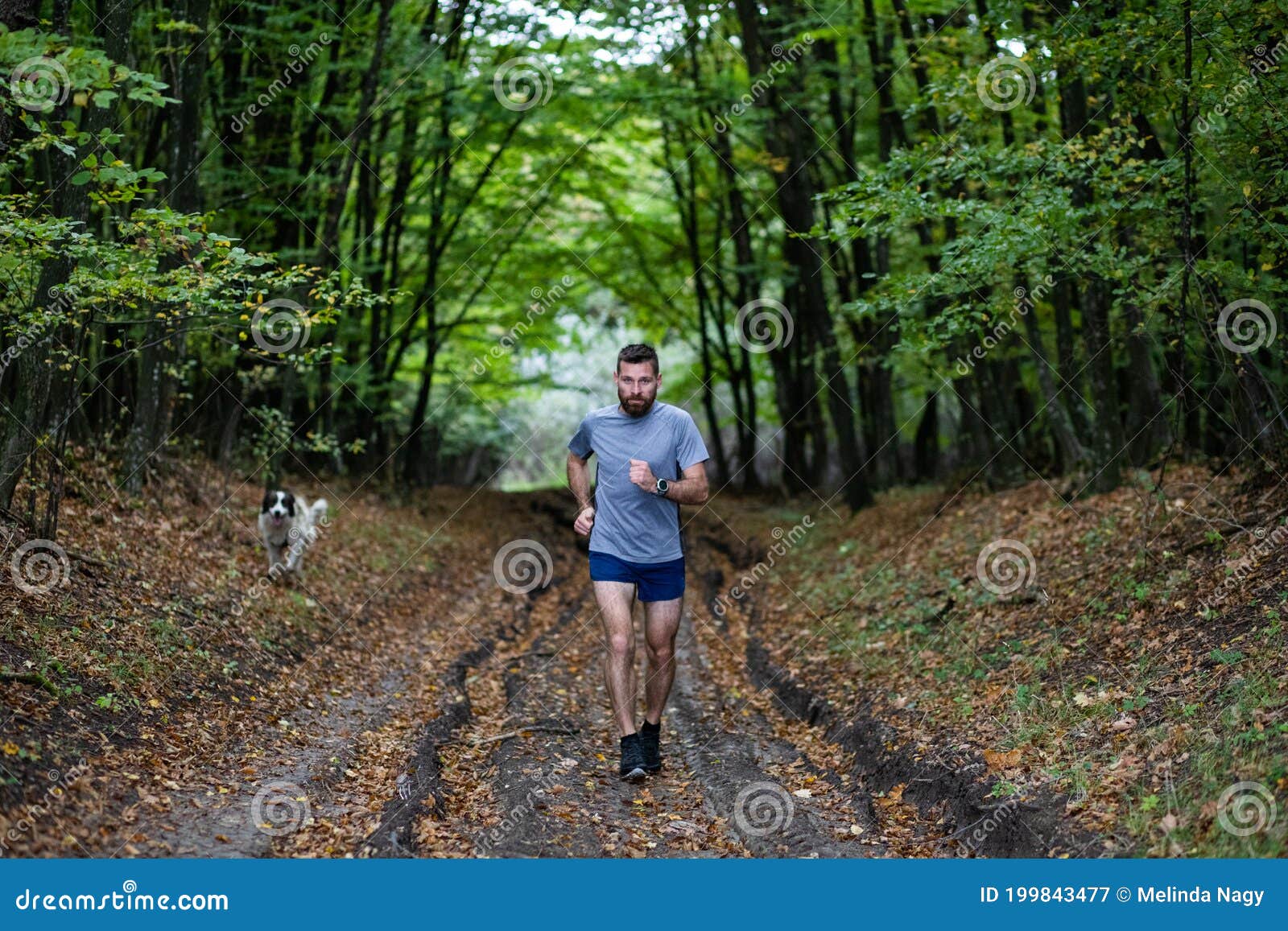 Handsome Trail Runner Running in Nature Editorial Photography - Image ...
