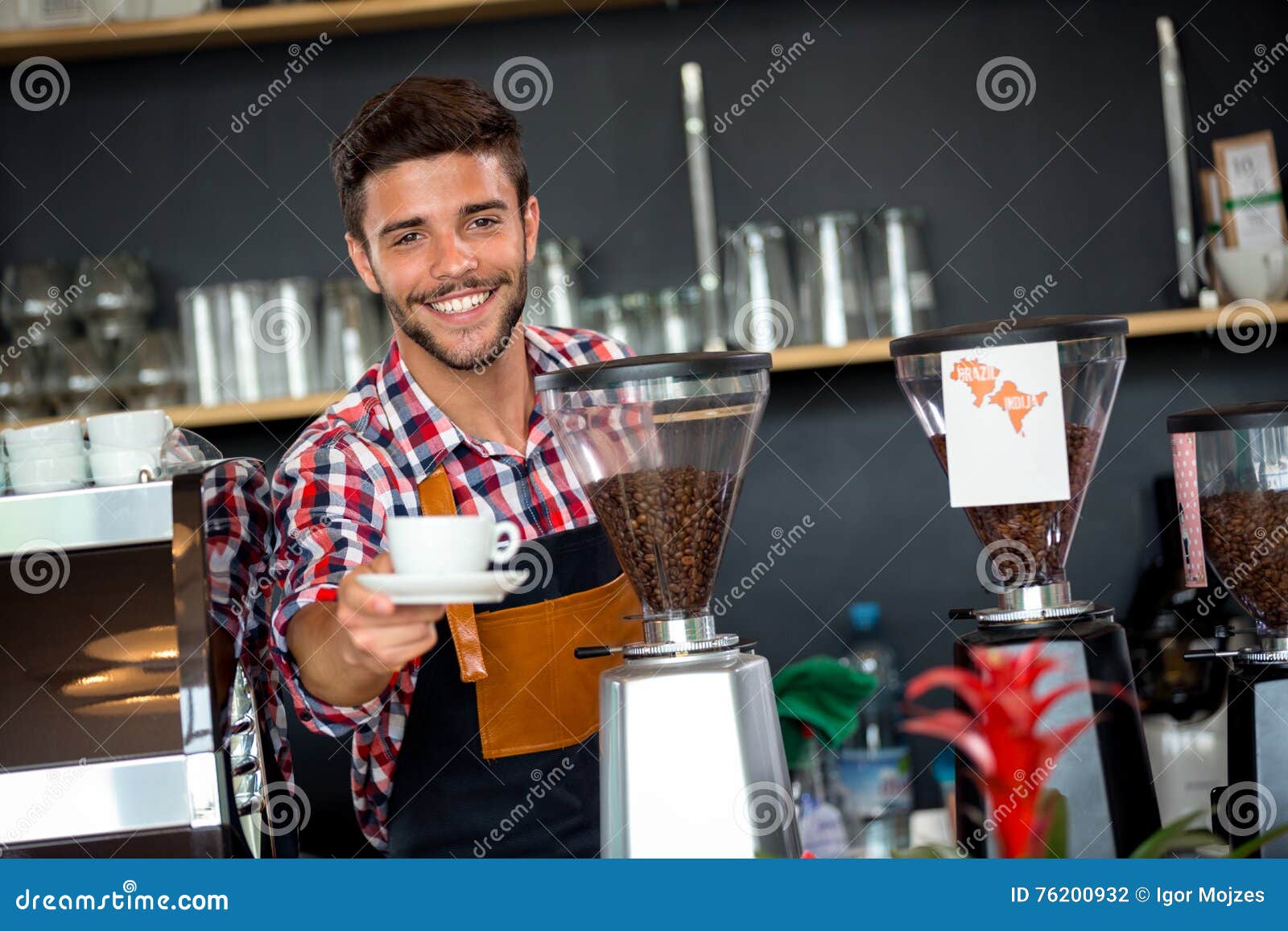 Handsome Waiter In Red Apron. Successful Small Business Owner. Serious ...