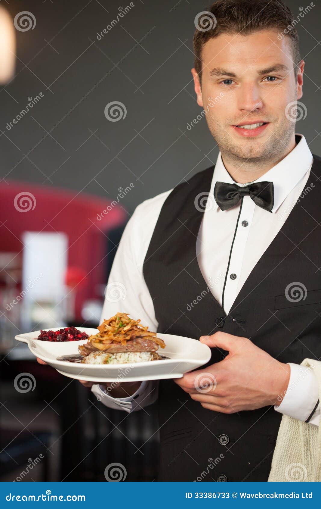 Handsome Waiter Serving Appetizing Duck Dish Stock Image - Image of ...