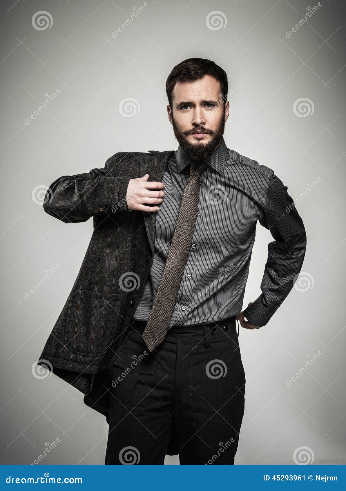 Handsome well-dressed man stock image. Image of fashion - 45293961