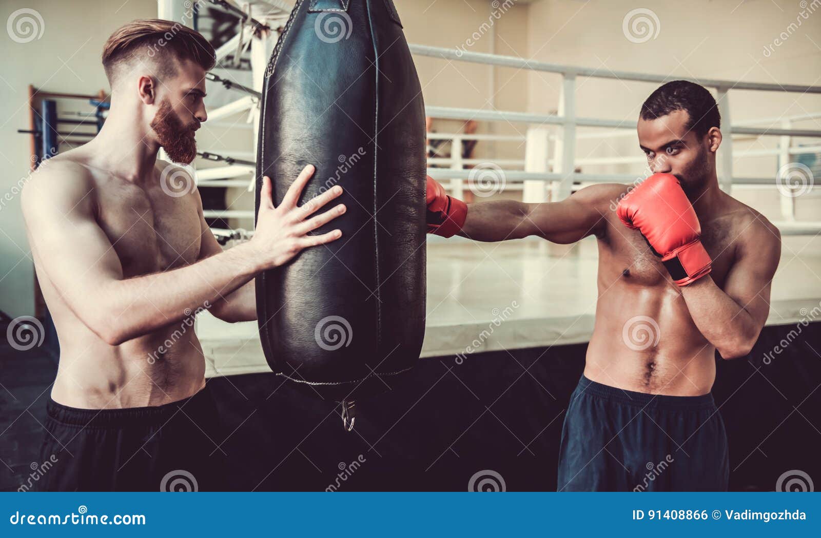 Handsome young boxers stock photo. Image of fitness, boxer - 91408866