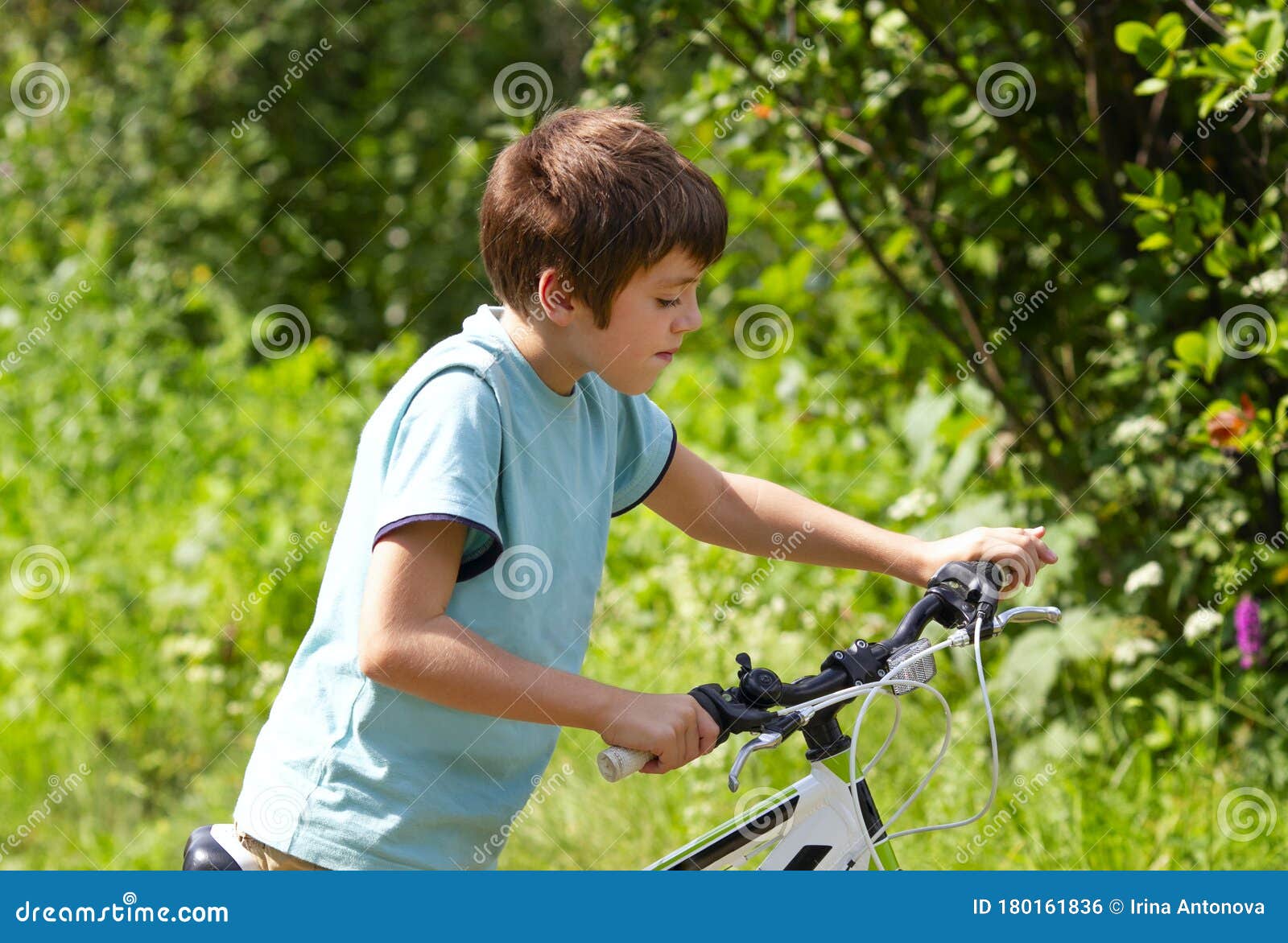 Handsome Young Boy on a Bicycle on a Sunny Summer Day Stock Photo ...