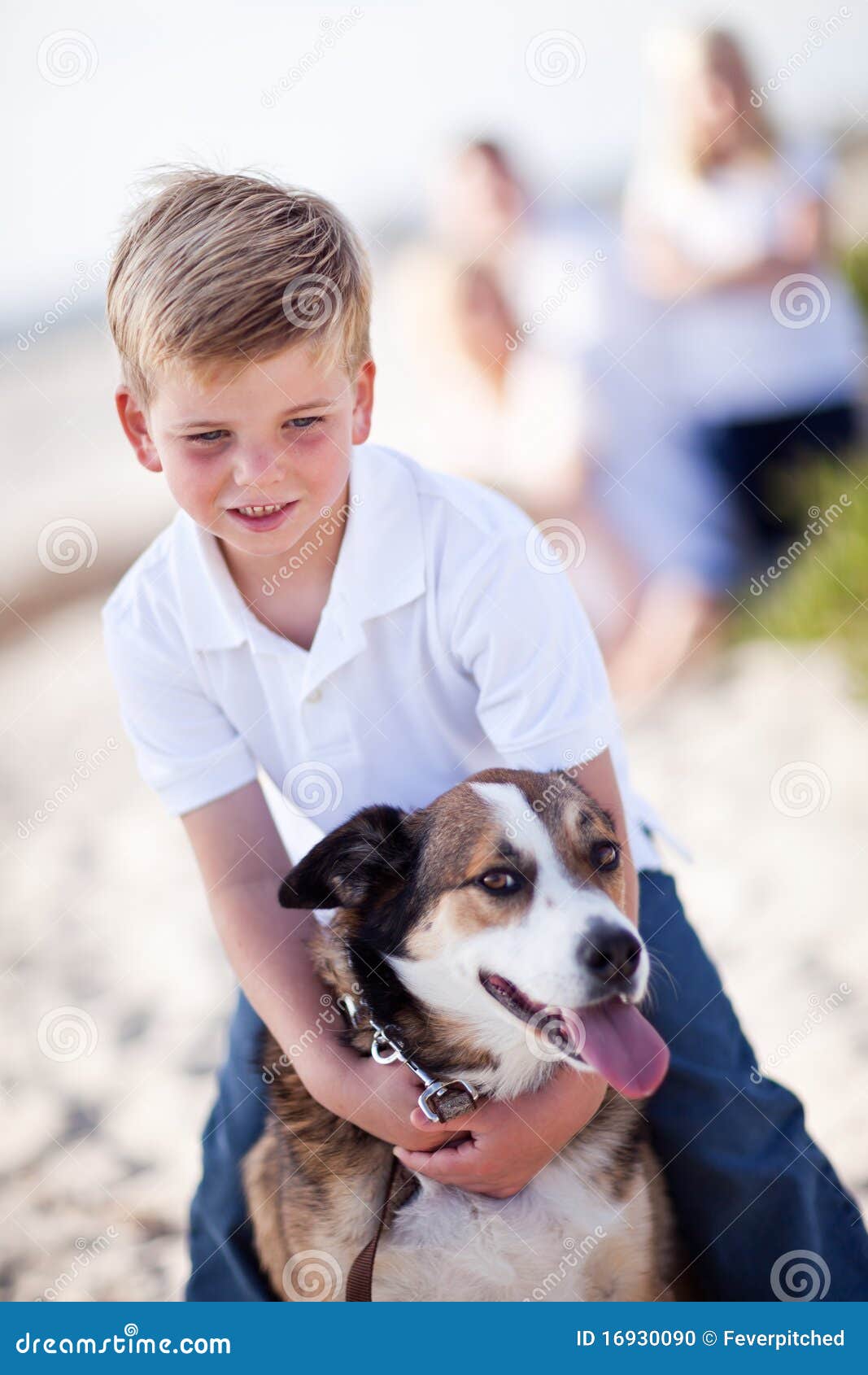 Handsome Young Boy Playing with His Dog Stock Photo - Image of beach ...