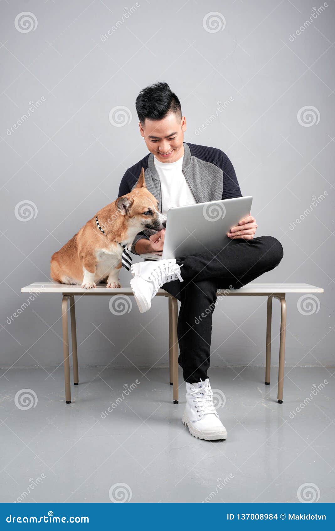 Handsome Young Businessman is Using Laptop while Sitting with His Dog ... Handsome Young Businessman is Using Laptop while Sitting with His Dog ...