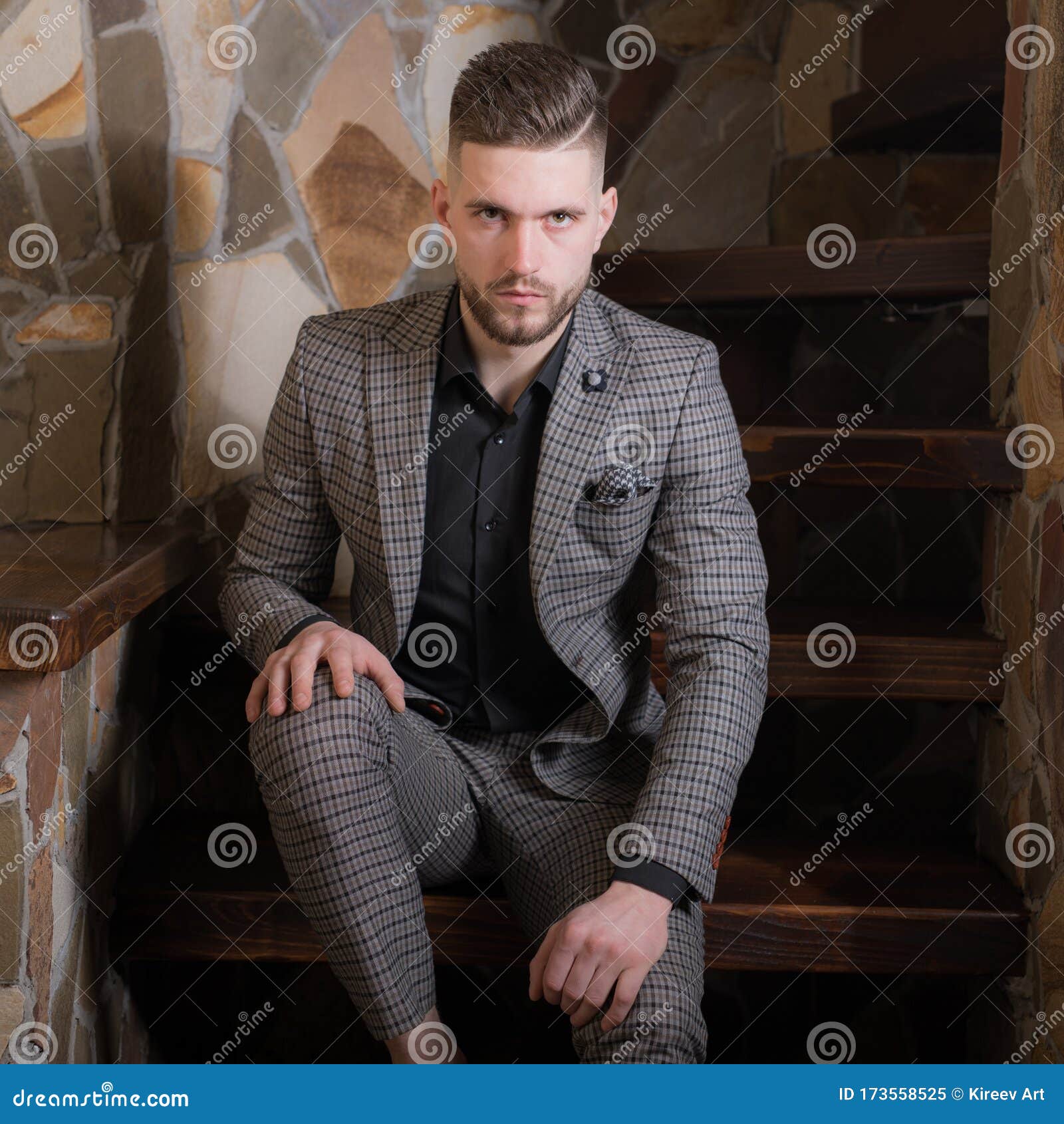 Handsome Young Elegant Man in House Interior. Stock Image - Image of ...