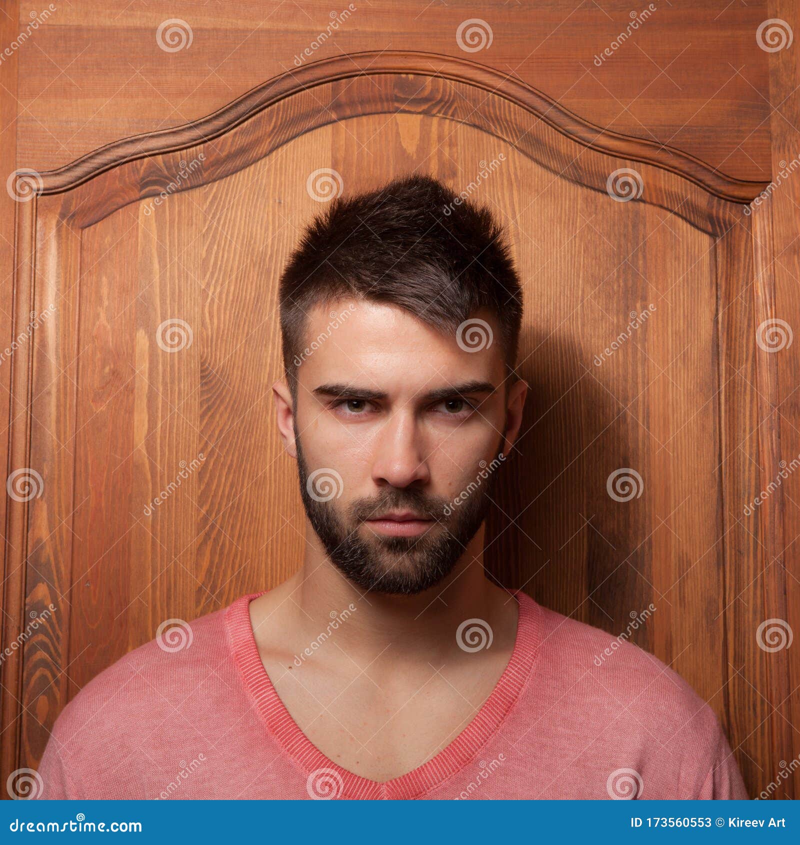Handsome Young Elegant Man in House Interior. Stock Image - Image of ...