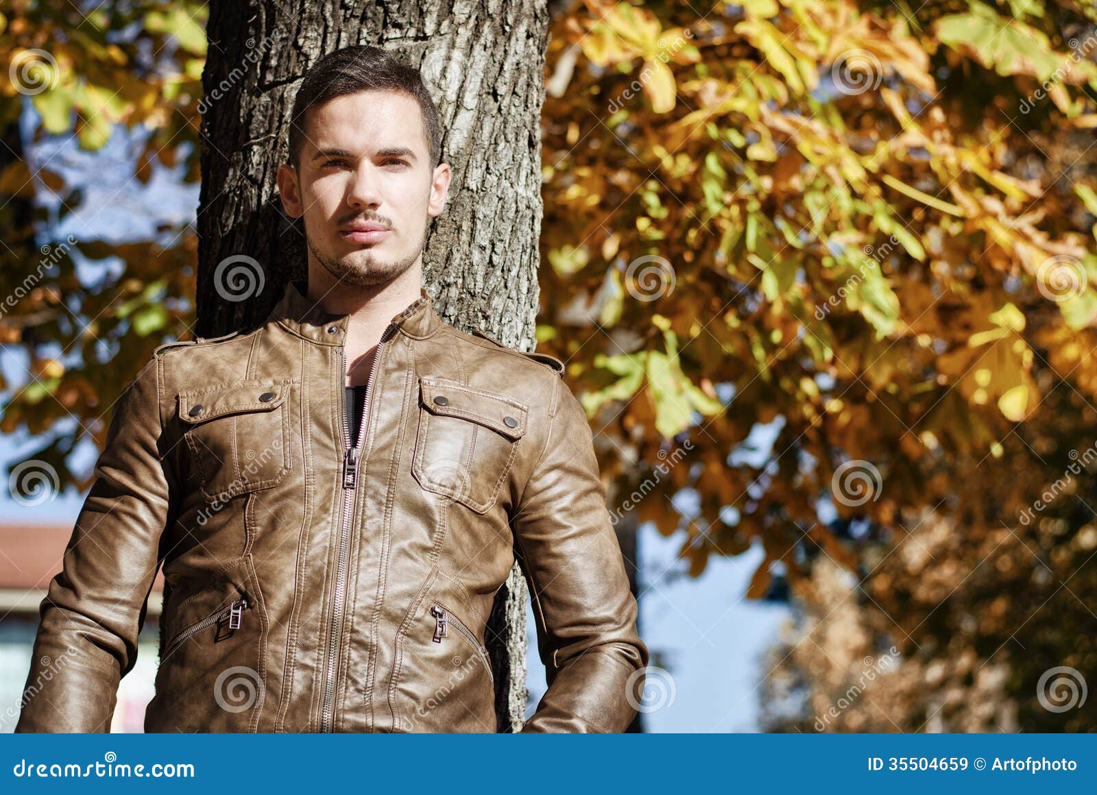 Handsome Young Man Against Tree in Fall Stock Image - Image of good ...