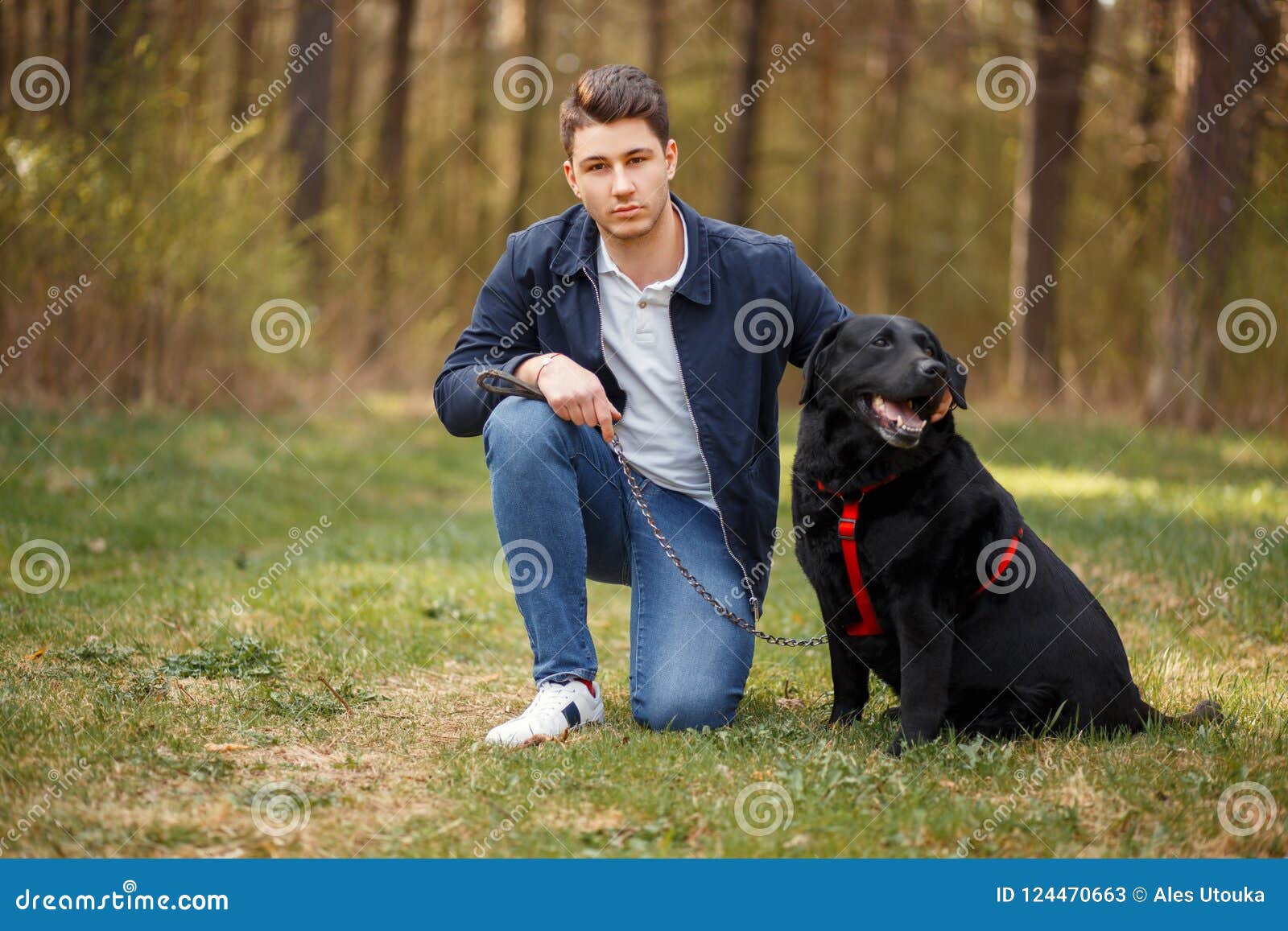 Handsome Young Man with a Black Labrador Dog Walking in the Park Stock ...