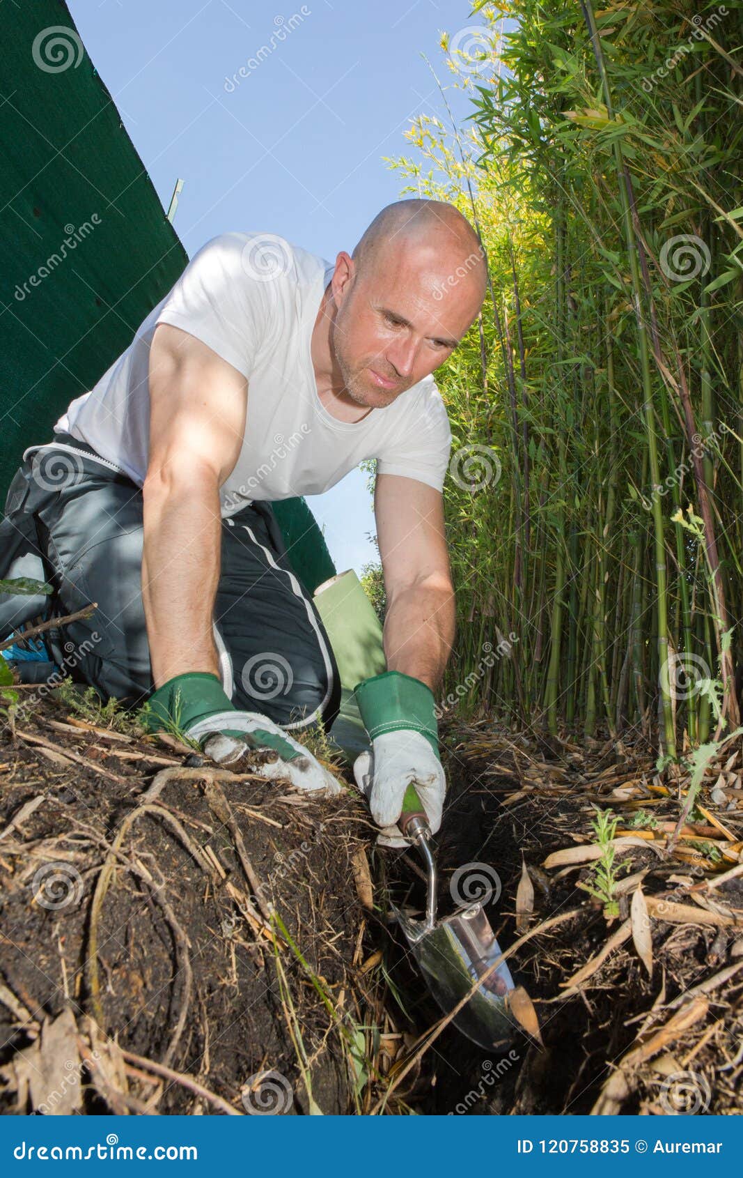 Handsome Young Man Gardener Landscaping Stock Image - Image of ...