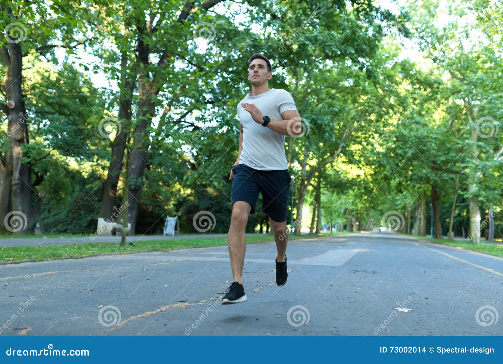 A Handsome Young Man Jogging in a Park Stock Photo - Image of healthy ...