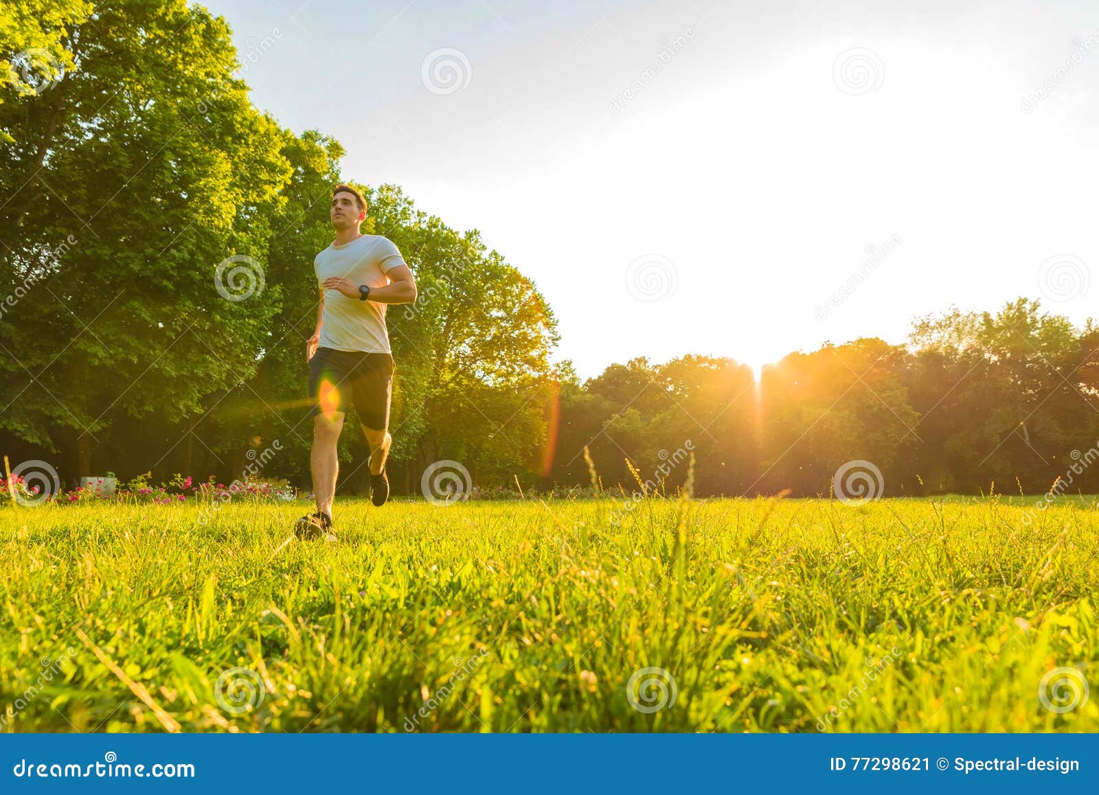 A Handsome Young Man Running during Sunset in a Park Stock Image ...