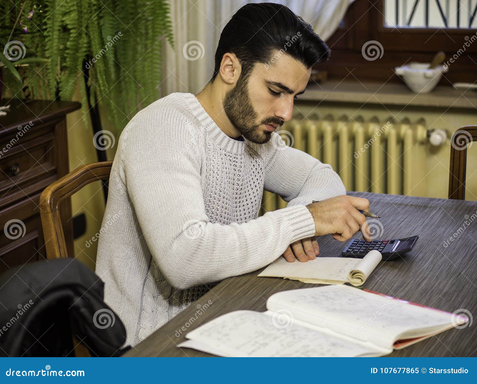 Handsome Man Accounting at Table Stock Image - Image of horizontal ...