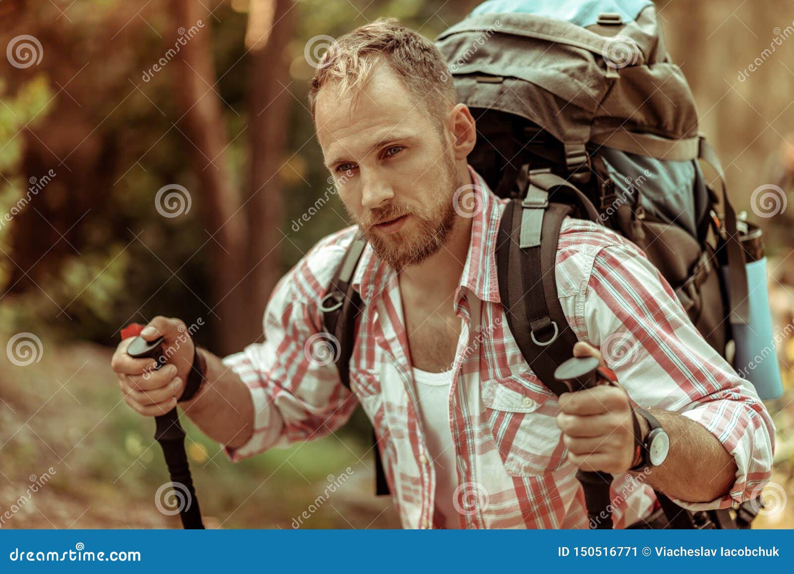 Handsome Young Man Walking in the Forest Stock Image - Image of ...