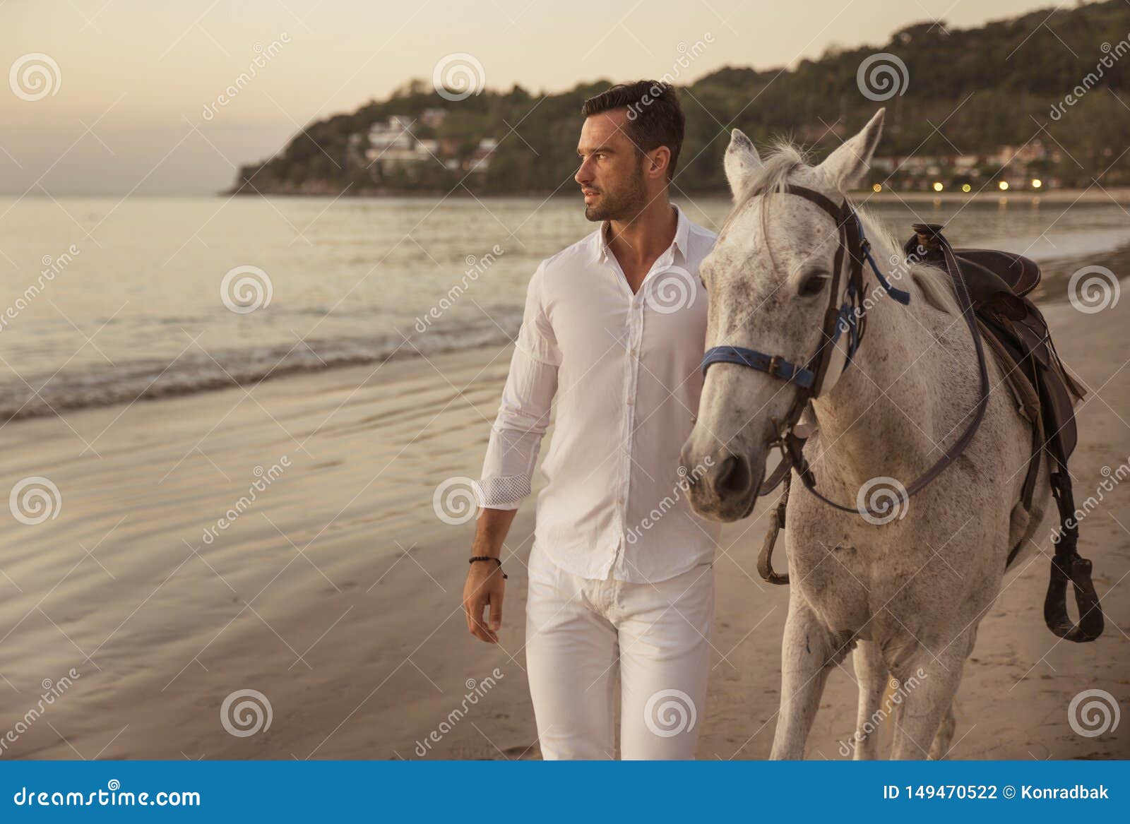 Handsome, Young Man Walking with a Stallion Alongside the Coast Stock ...