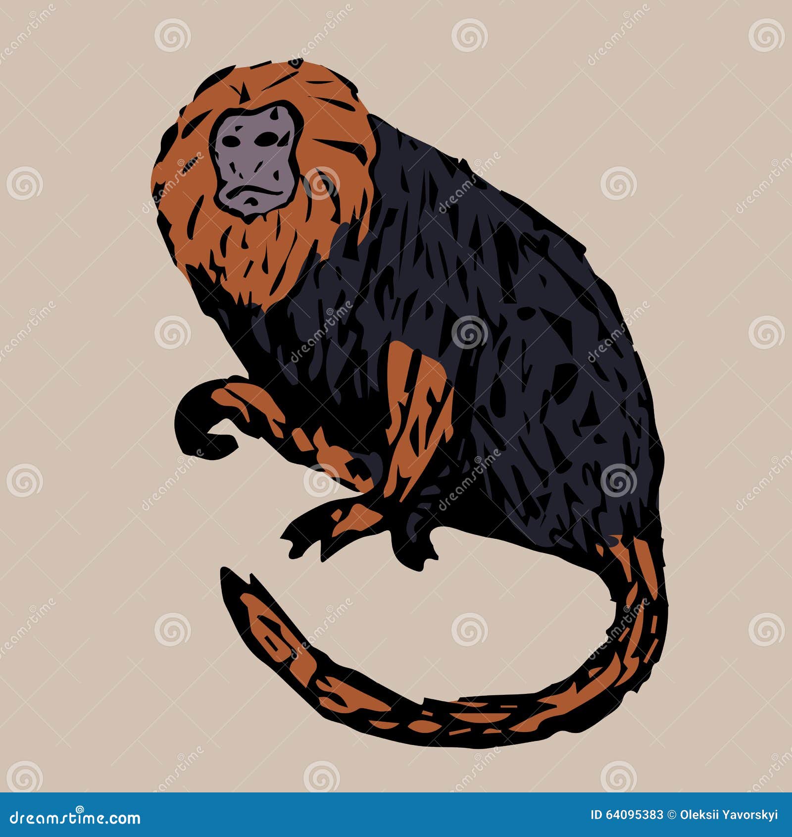 Handsome young one tamarin stock vector. Illustration of people - 64095383