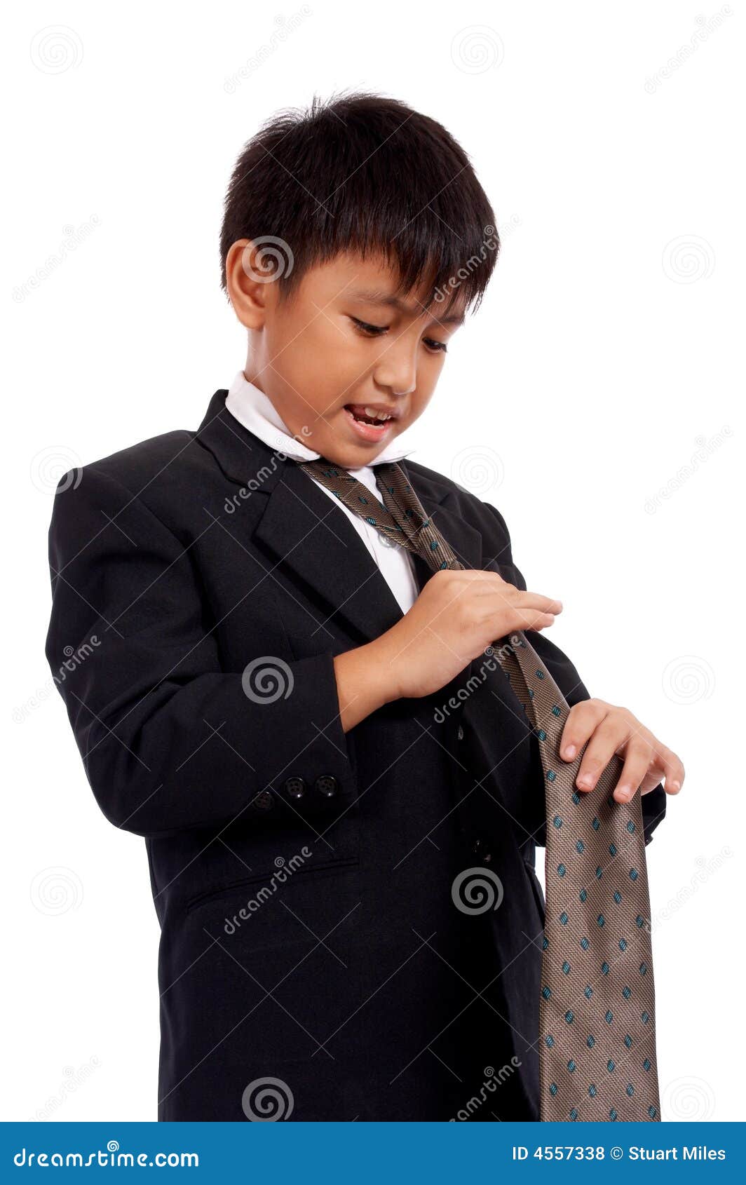 Handsome young secretary stock photo. Image of looking - 4557338