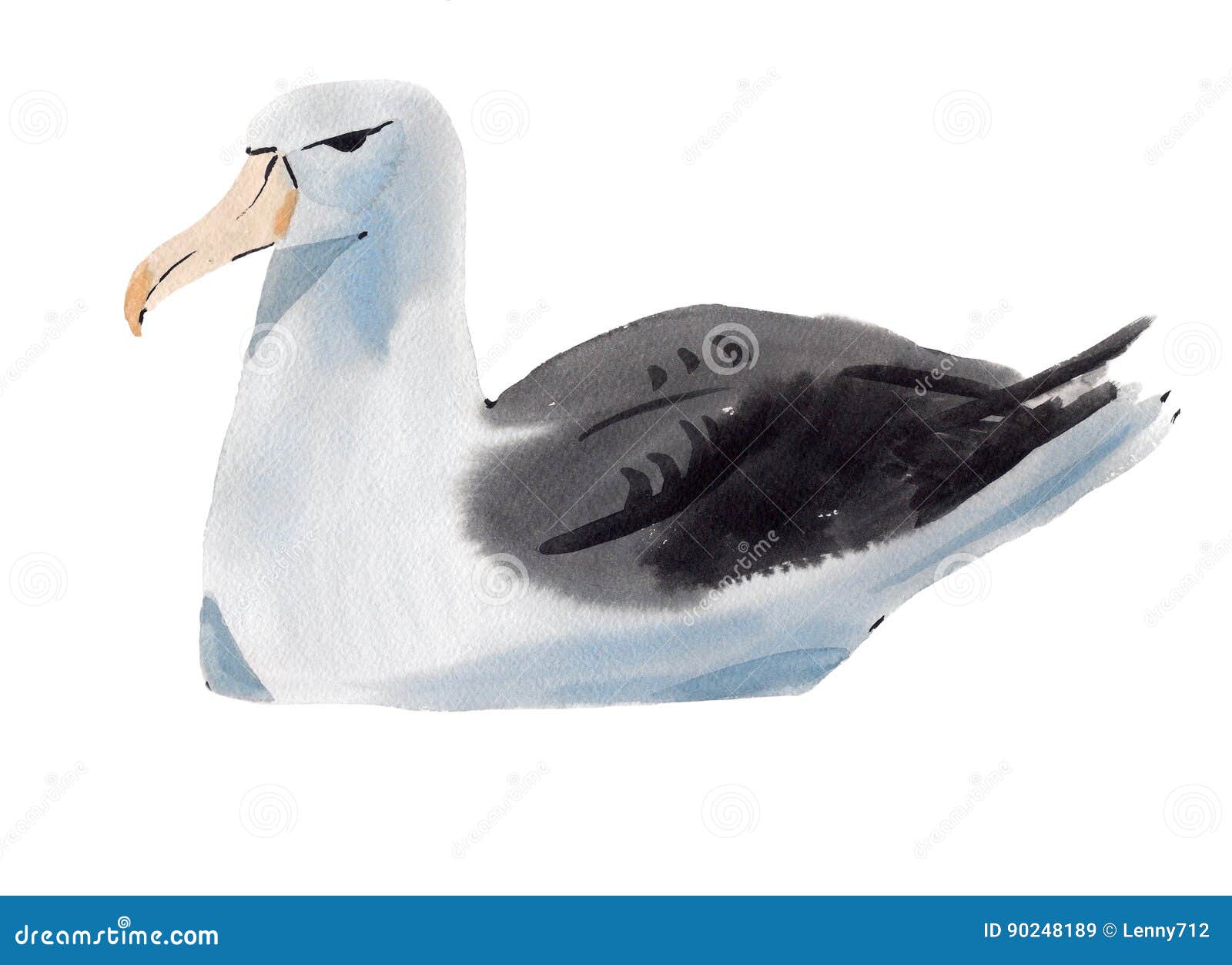 Handwork Watercolor Illustration of a Bird Albatross Stock Illustration ...
